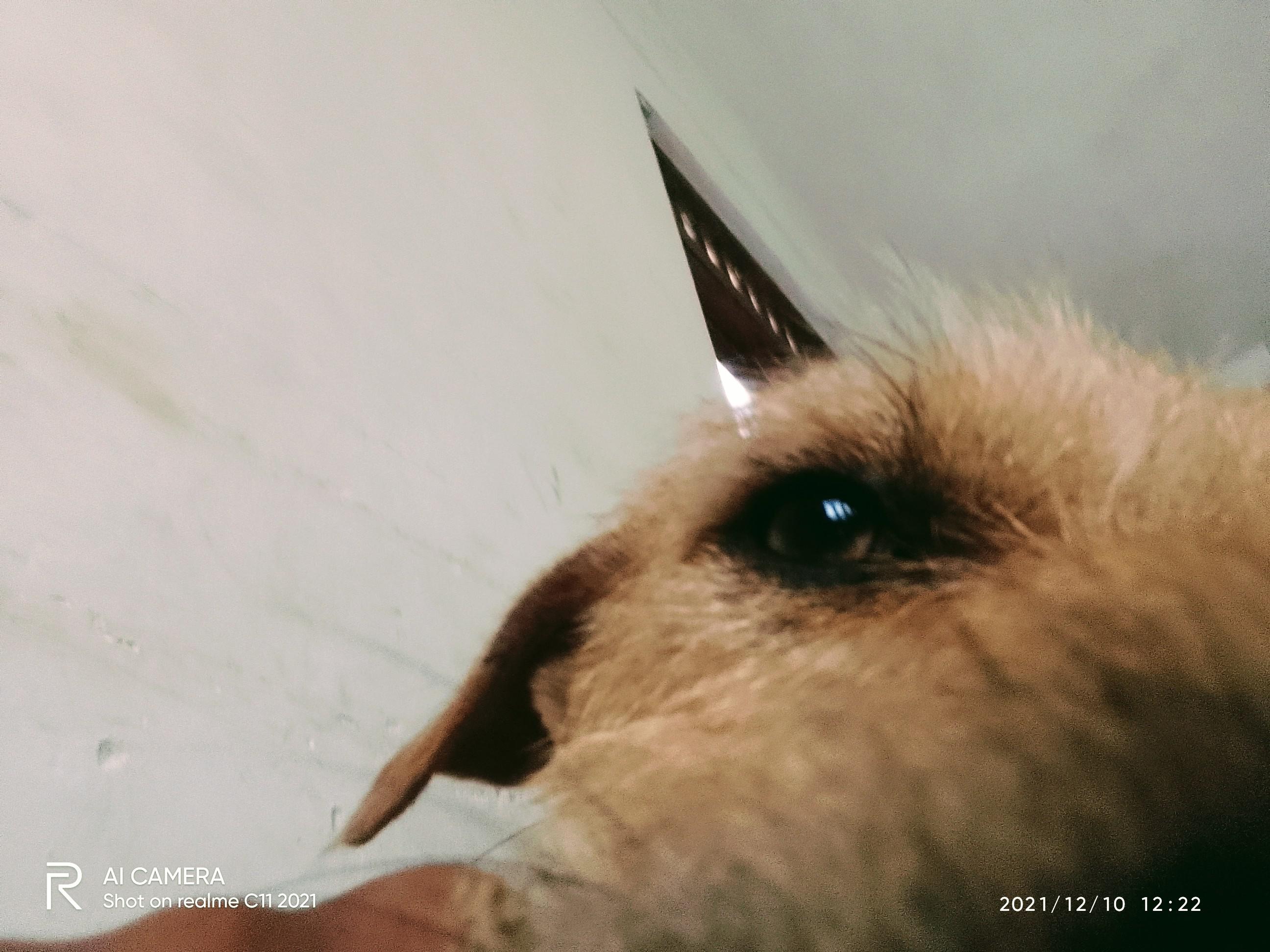 Meet Brian | Scrolller