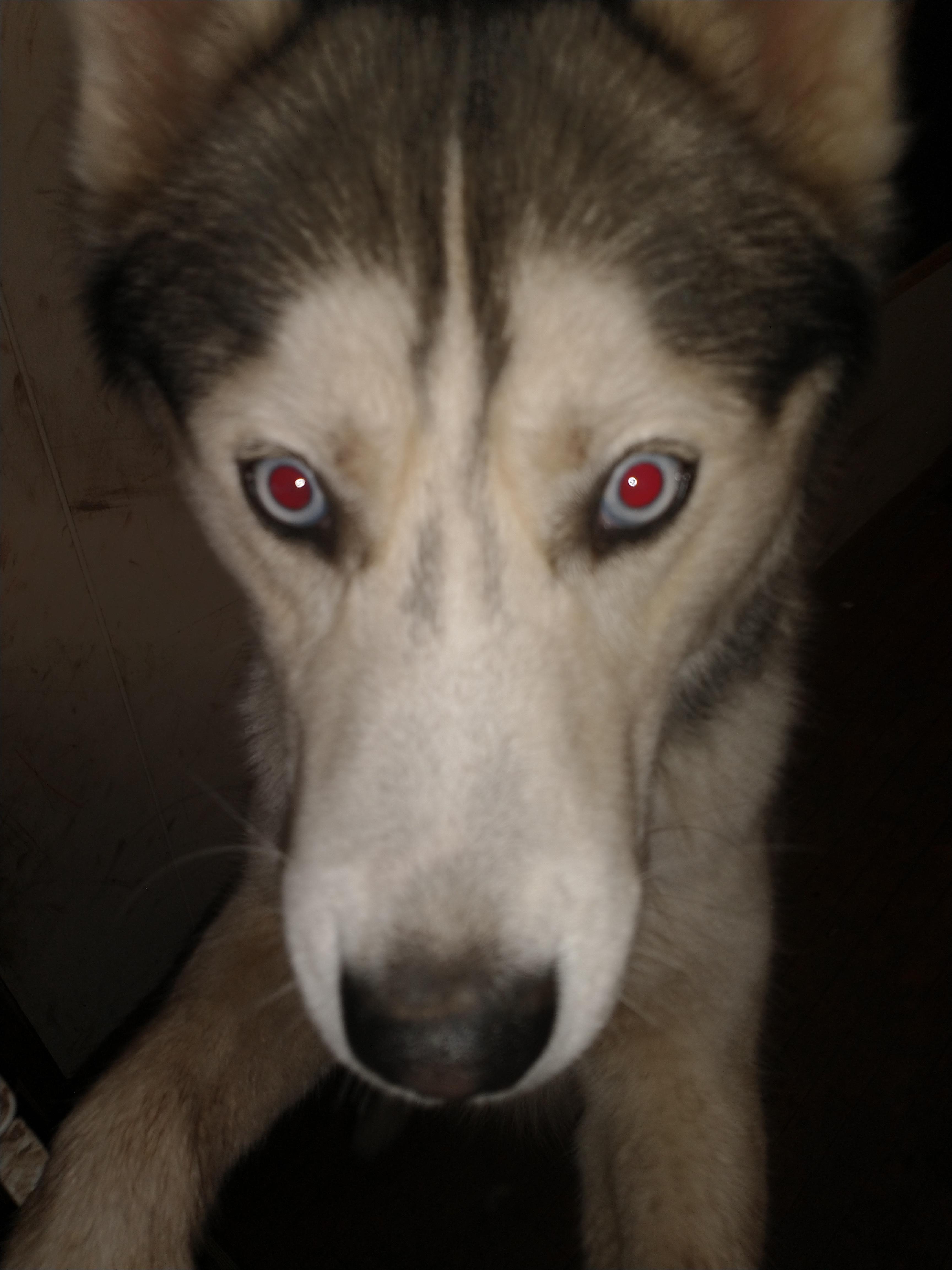 Potty training advice. | Scrolller