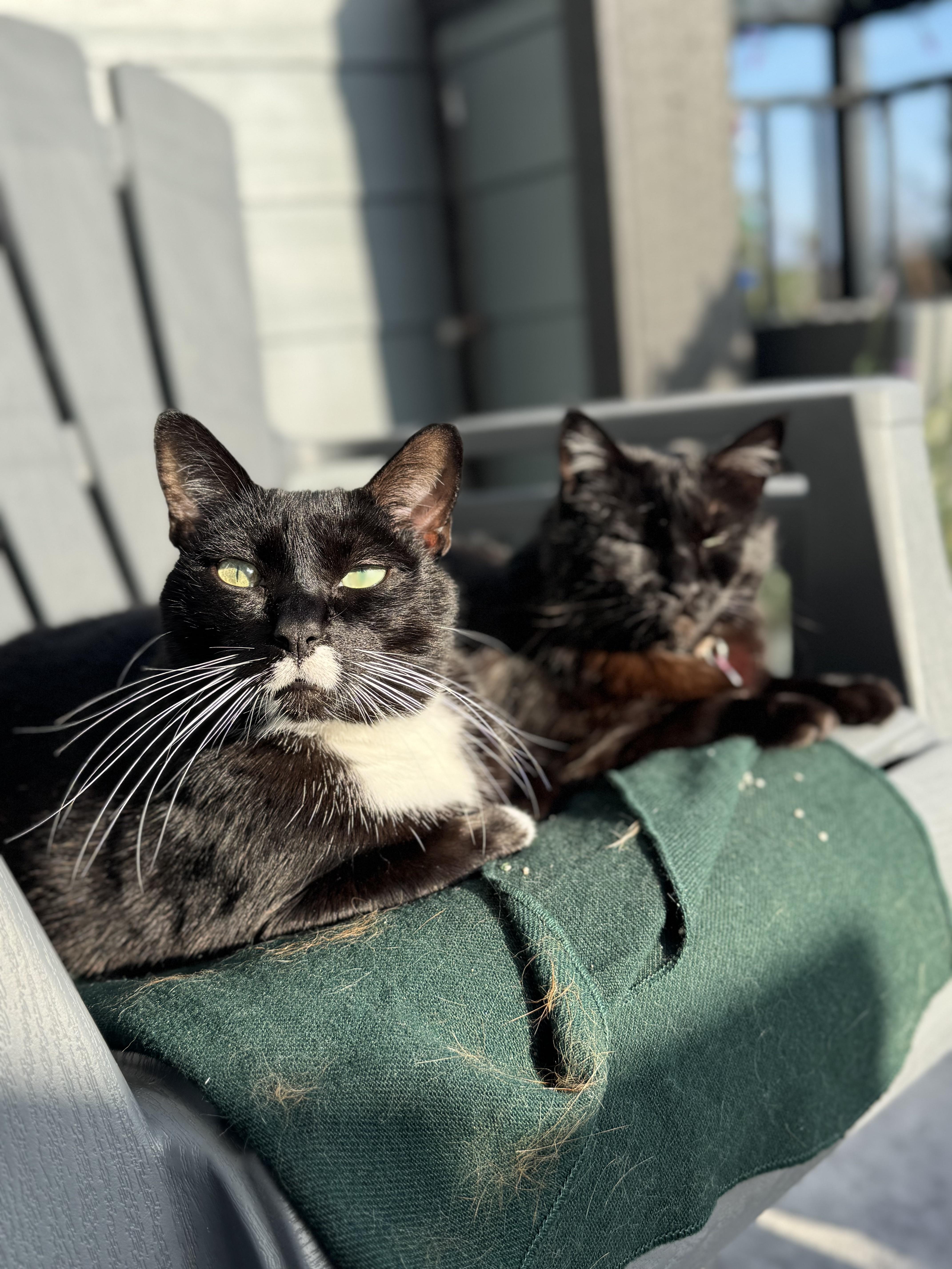 A cuddling in three parts | Scrolller