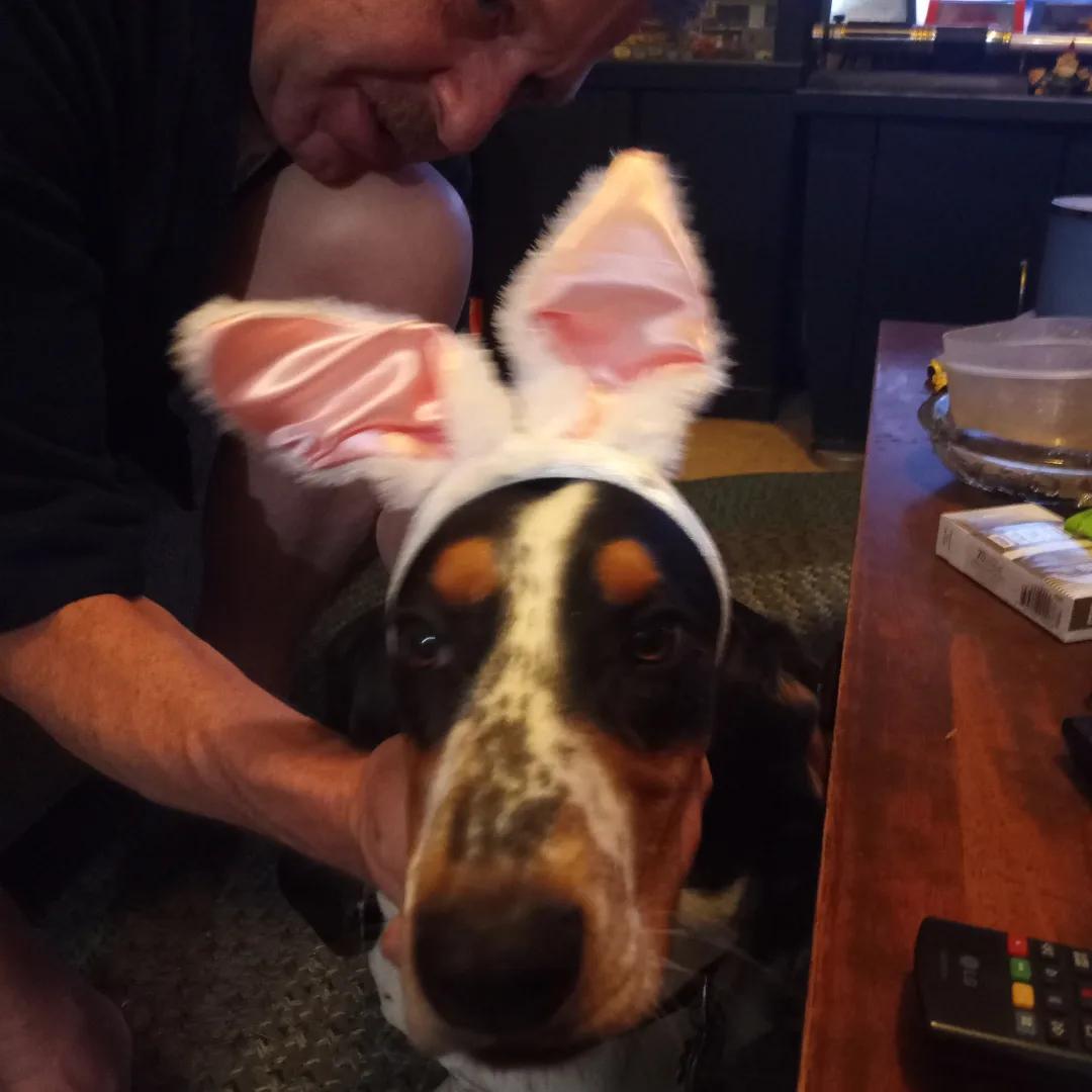Hoppy Easter from Daisy Mae | Scrolller