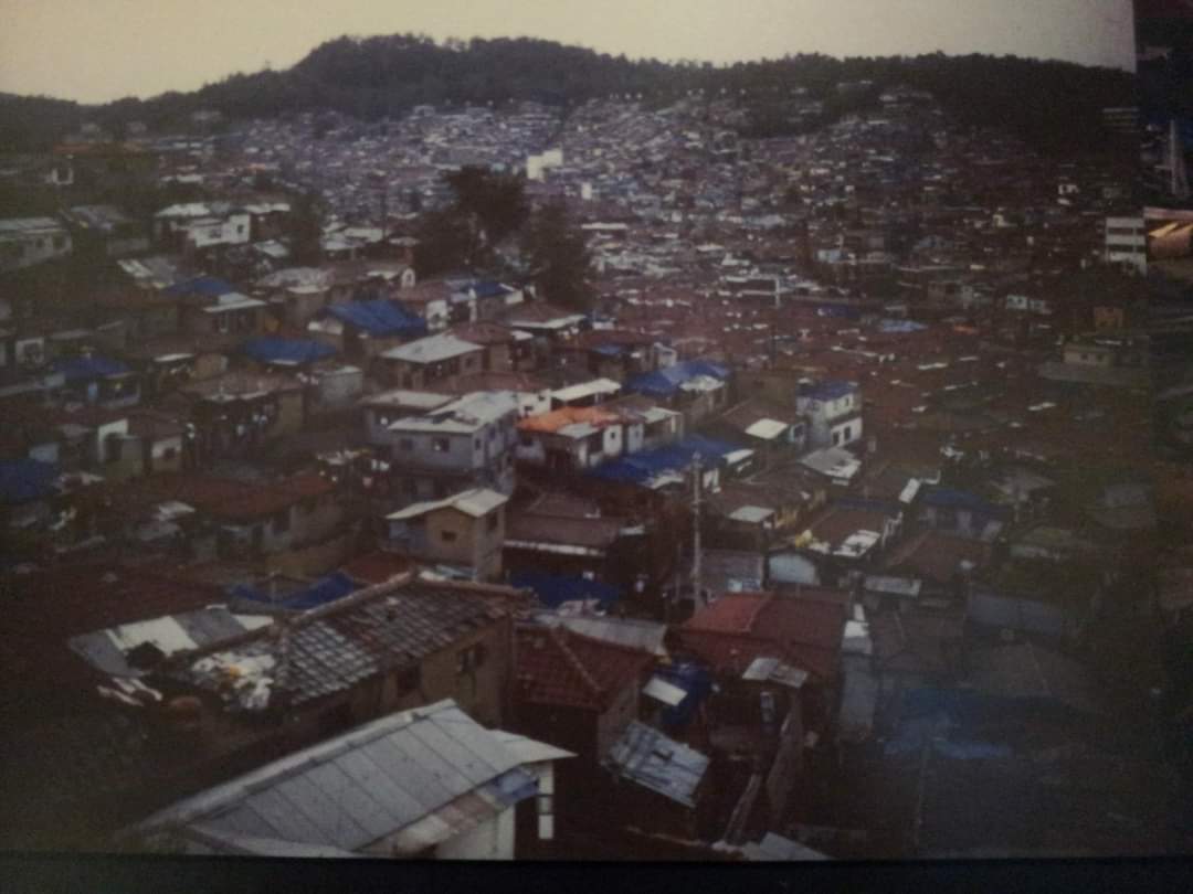 The 'real' Korean wave | Scrolller