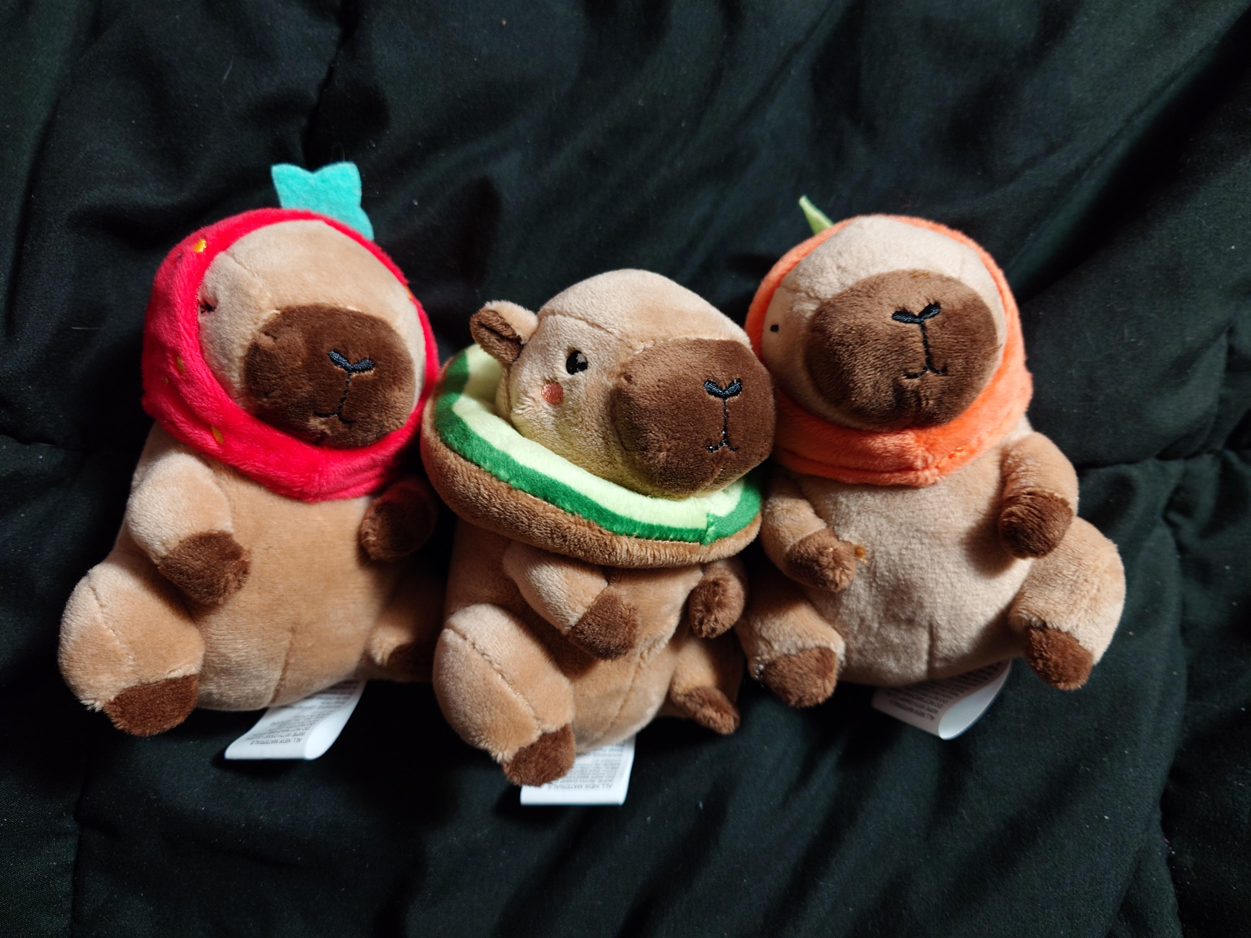 Capy-Buddies! | Scrolller