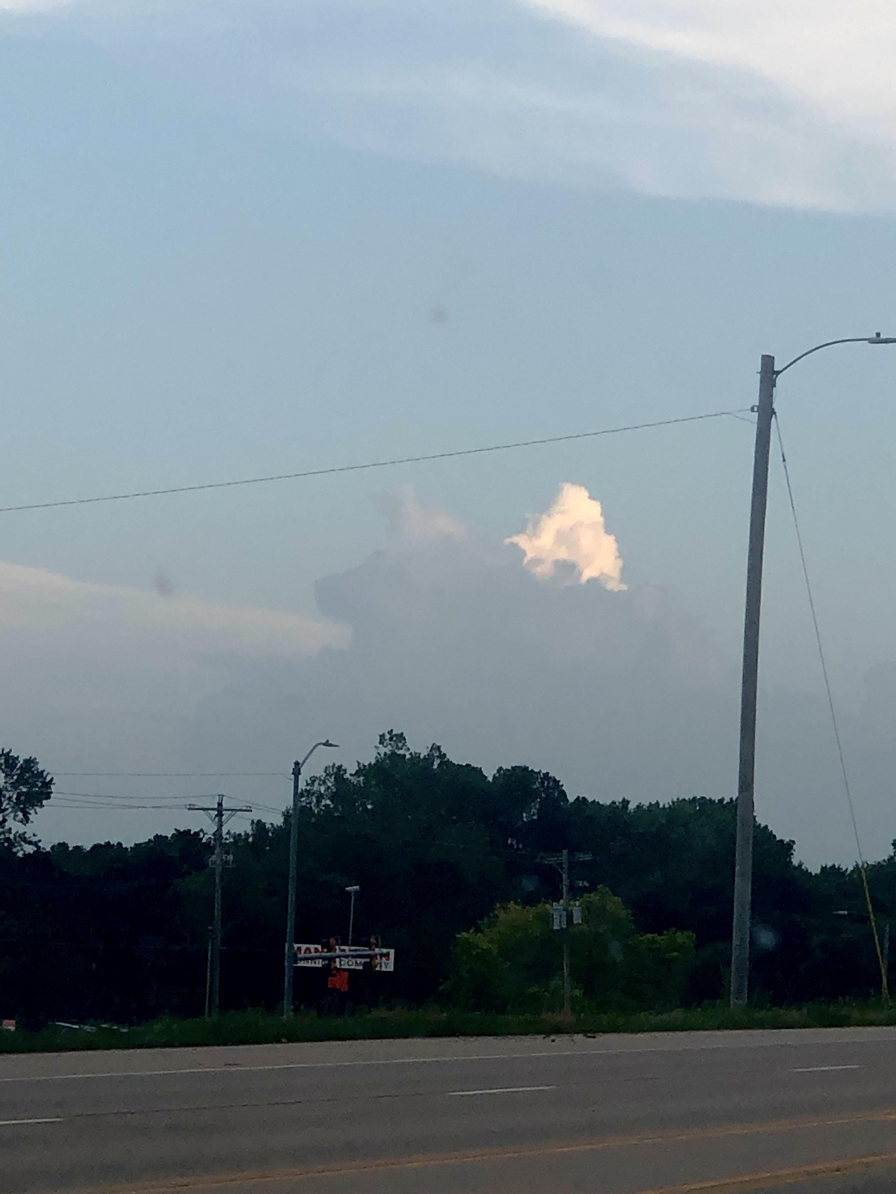 (OC) Someone’s pupper has made it up to heaven💕 | Scrolller