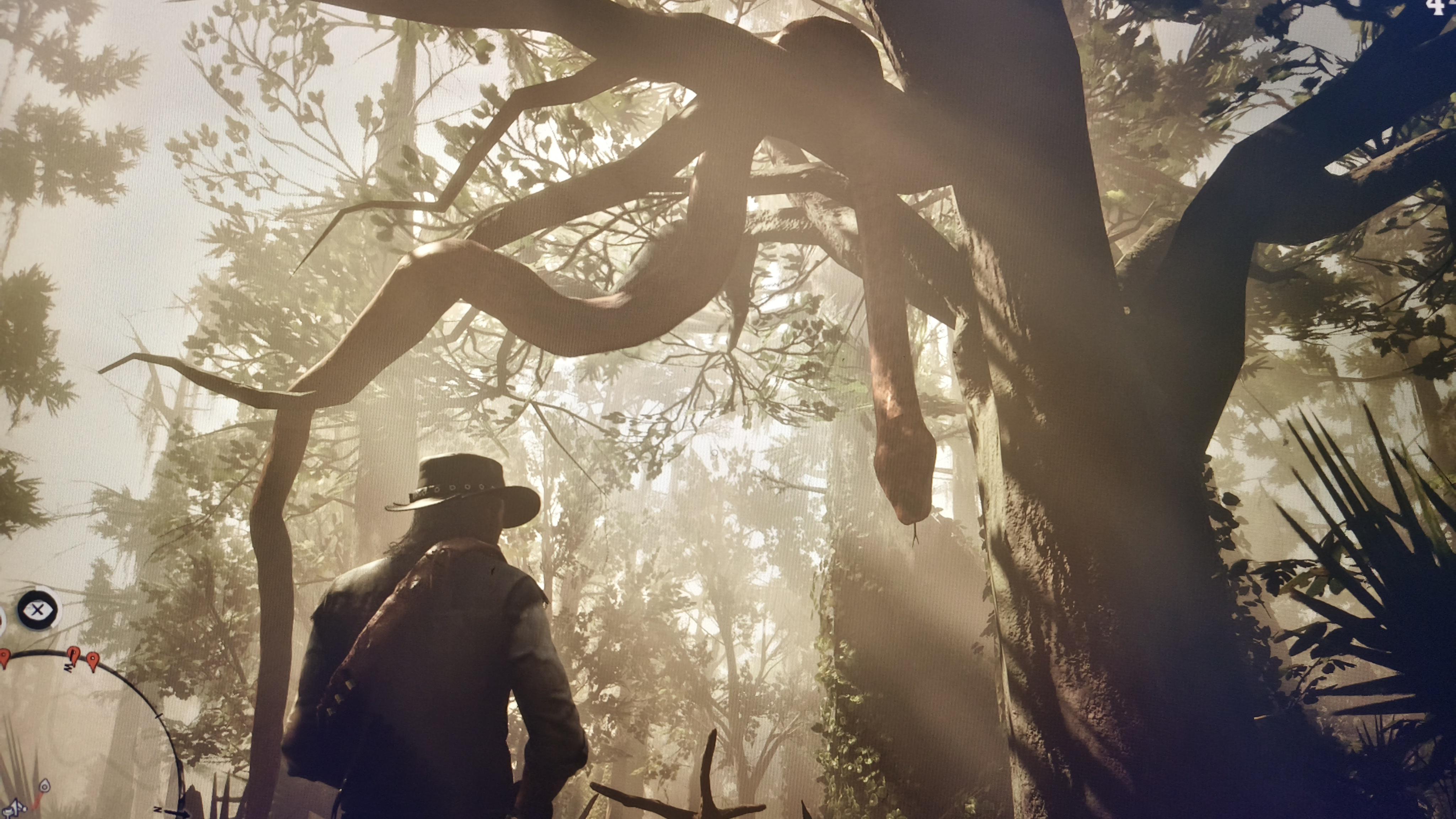 Giant snake | Scrolller