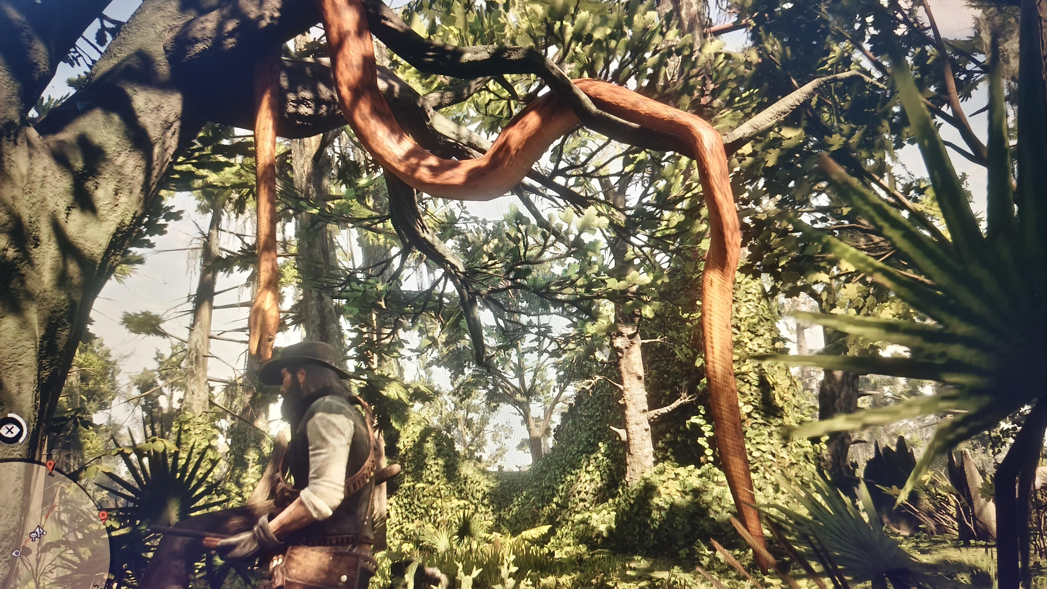 Giant snake | Scrolller