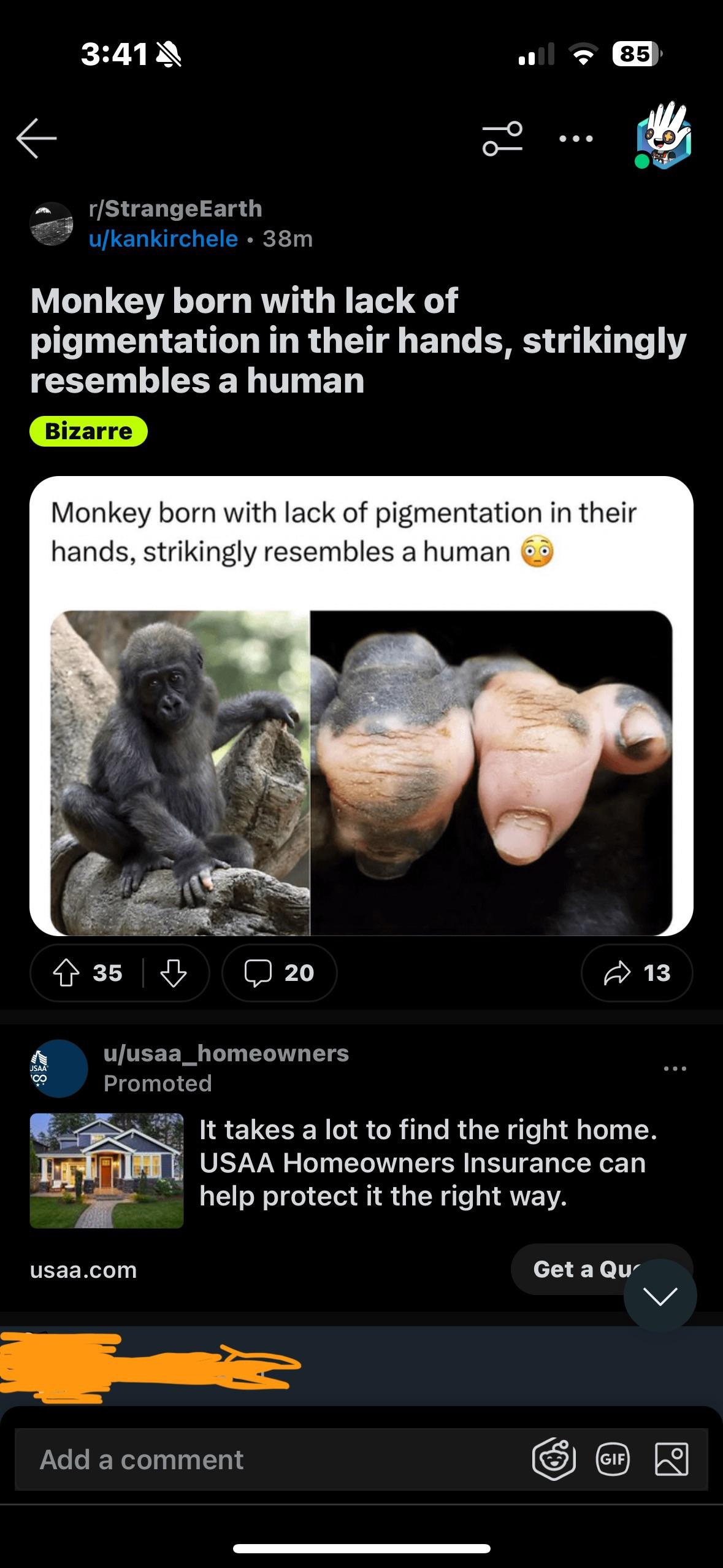 Mental Gymnastics | Scrolller