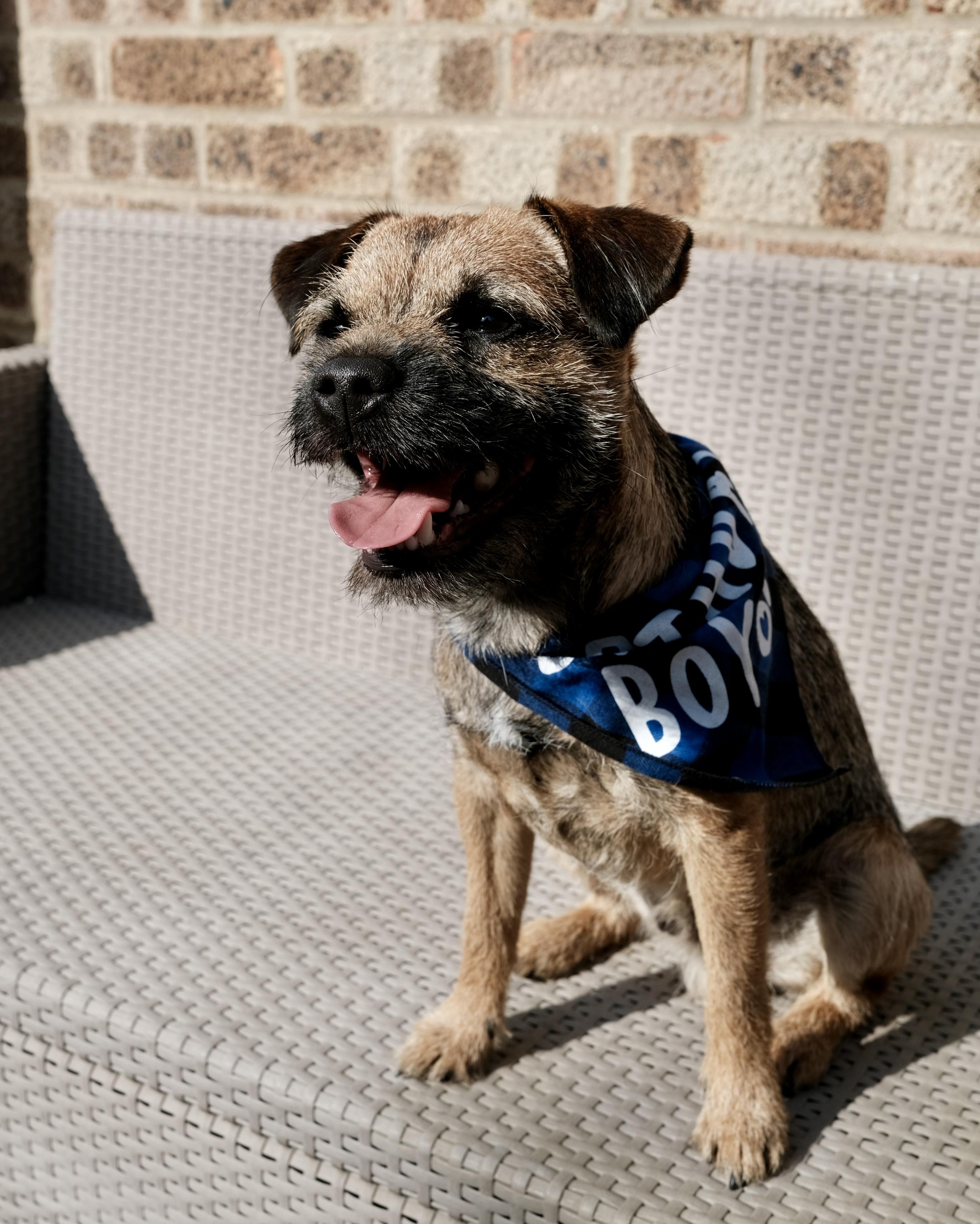 Douglas celebrating his first birthday! | Scrolller