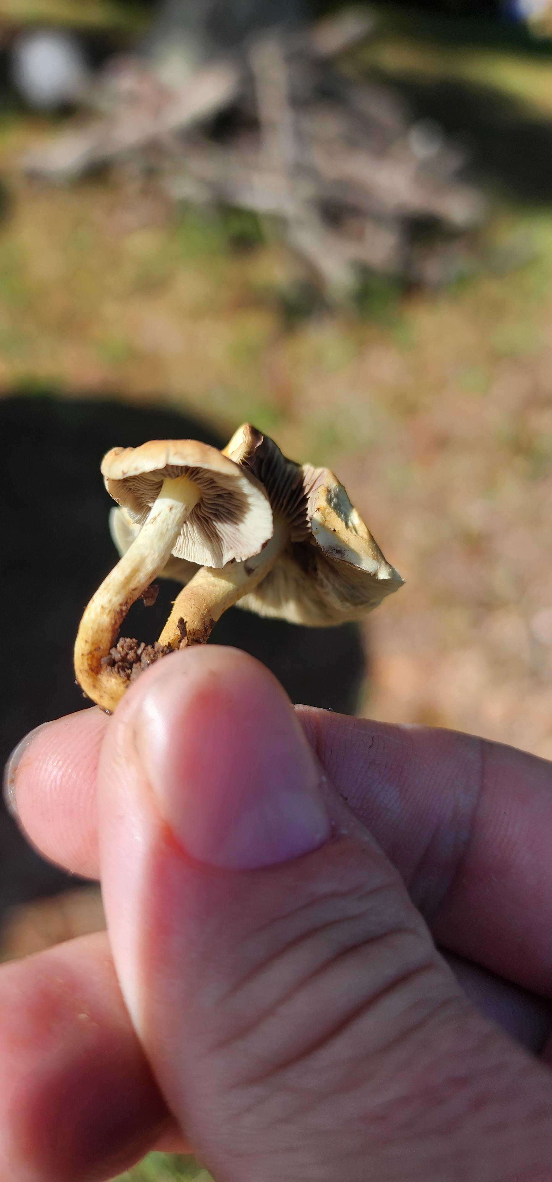 What are these cuties? | Scrolller