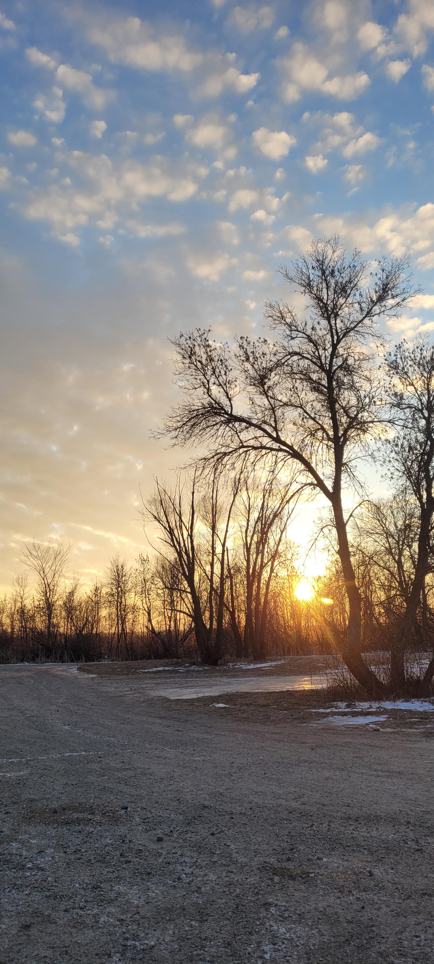 Nice fat 25inch greenback caught through the ice | Scrolller