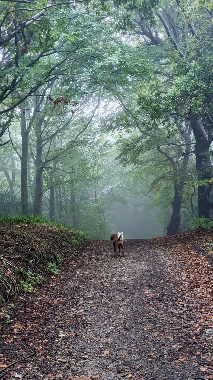 Leader of the pack! Always! | Scrolller