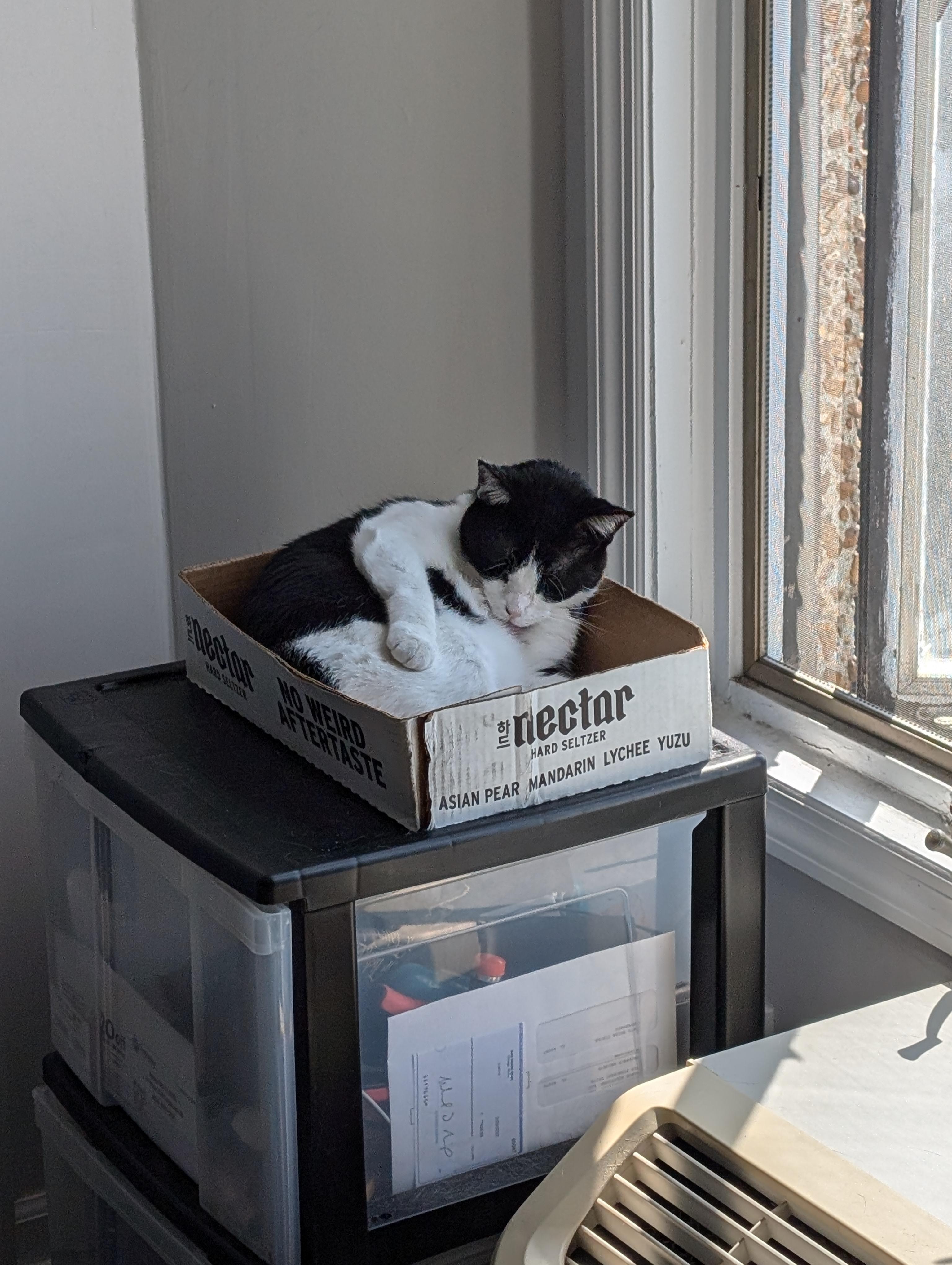 Sweet Peaches | Scrolller