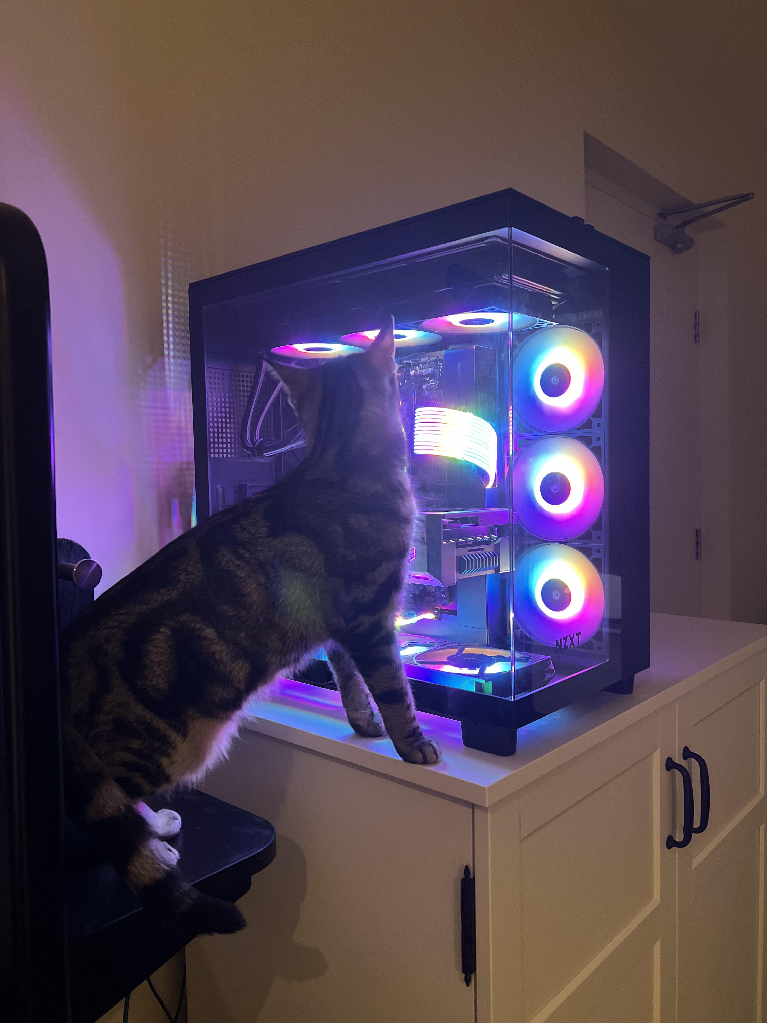 Finally got an upgrade | Scrolller