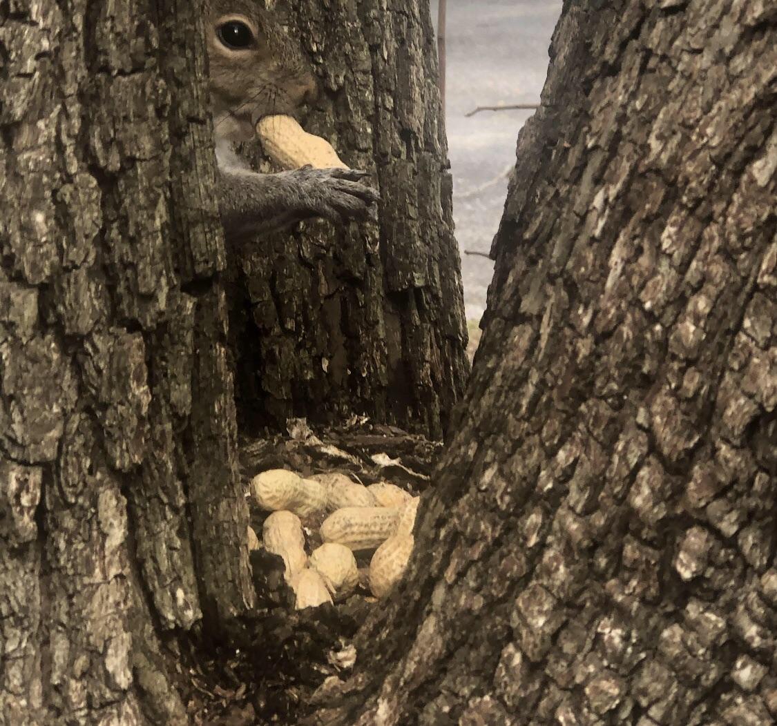 Sasha and Squishy | Scrolller