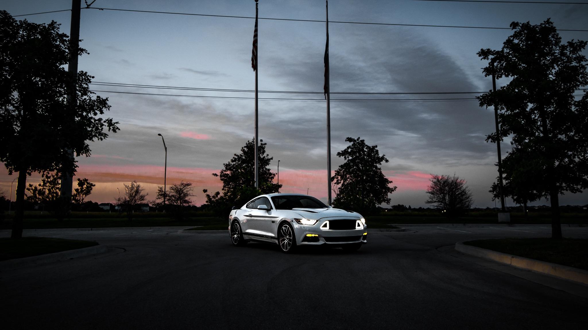 After 20 hours of stripe removal and bumper problems…. | Scrolller