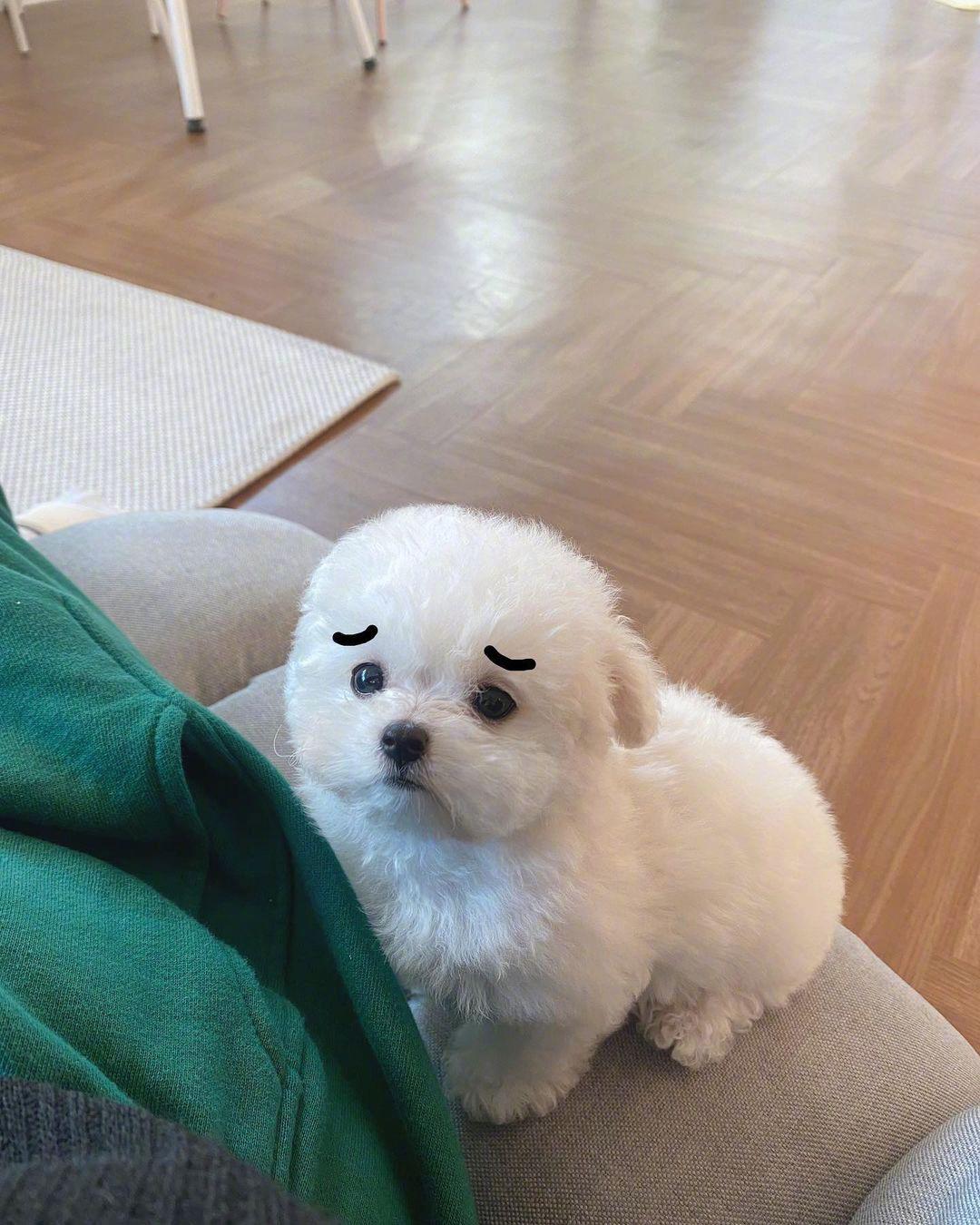 So I got the eyebrows for him... | Scrolller