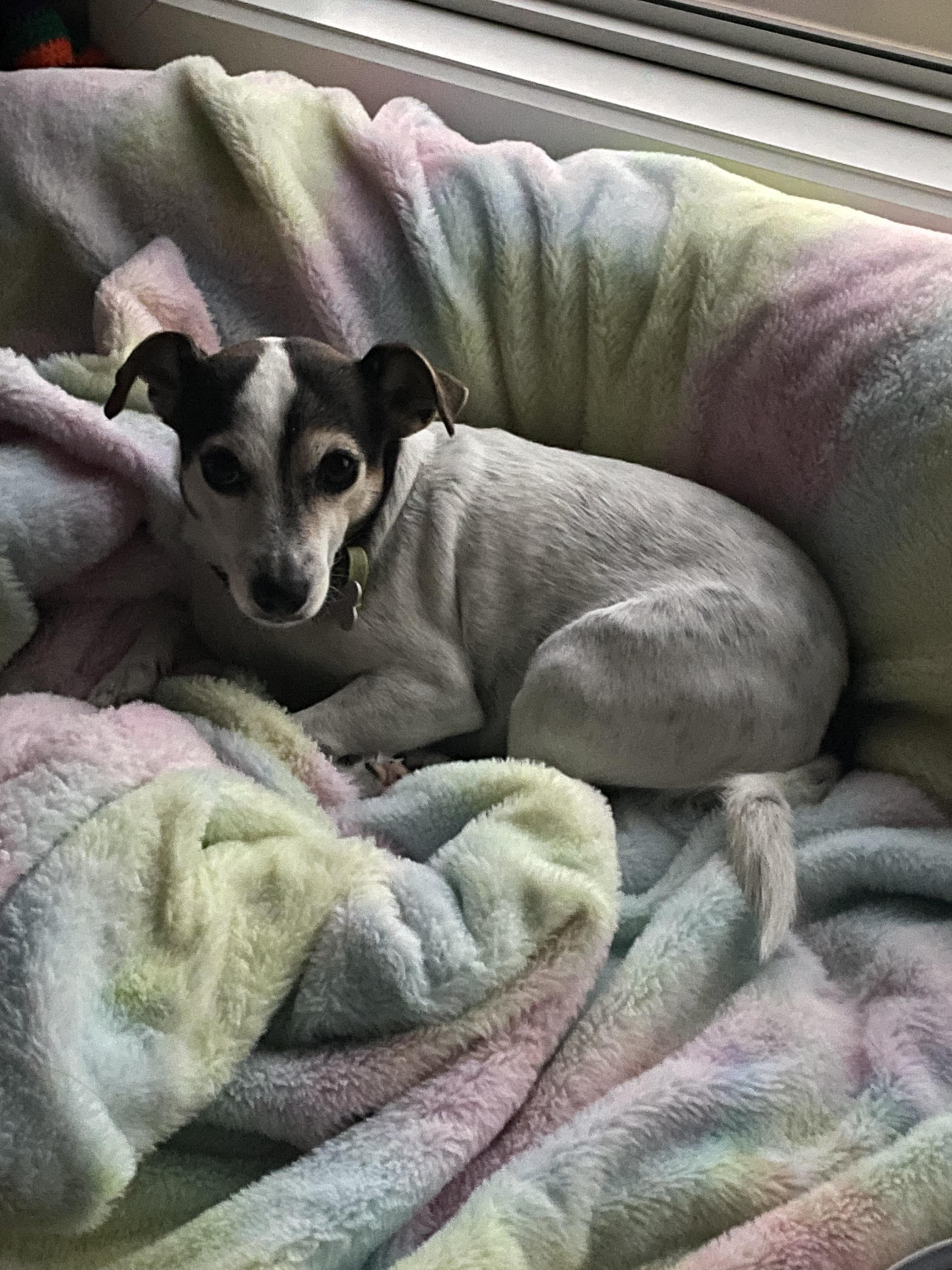 Her rolls match the blanket :,) | Scrolller