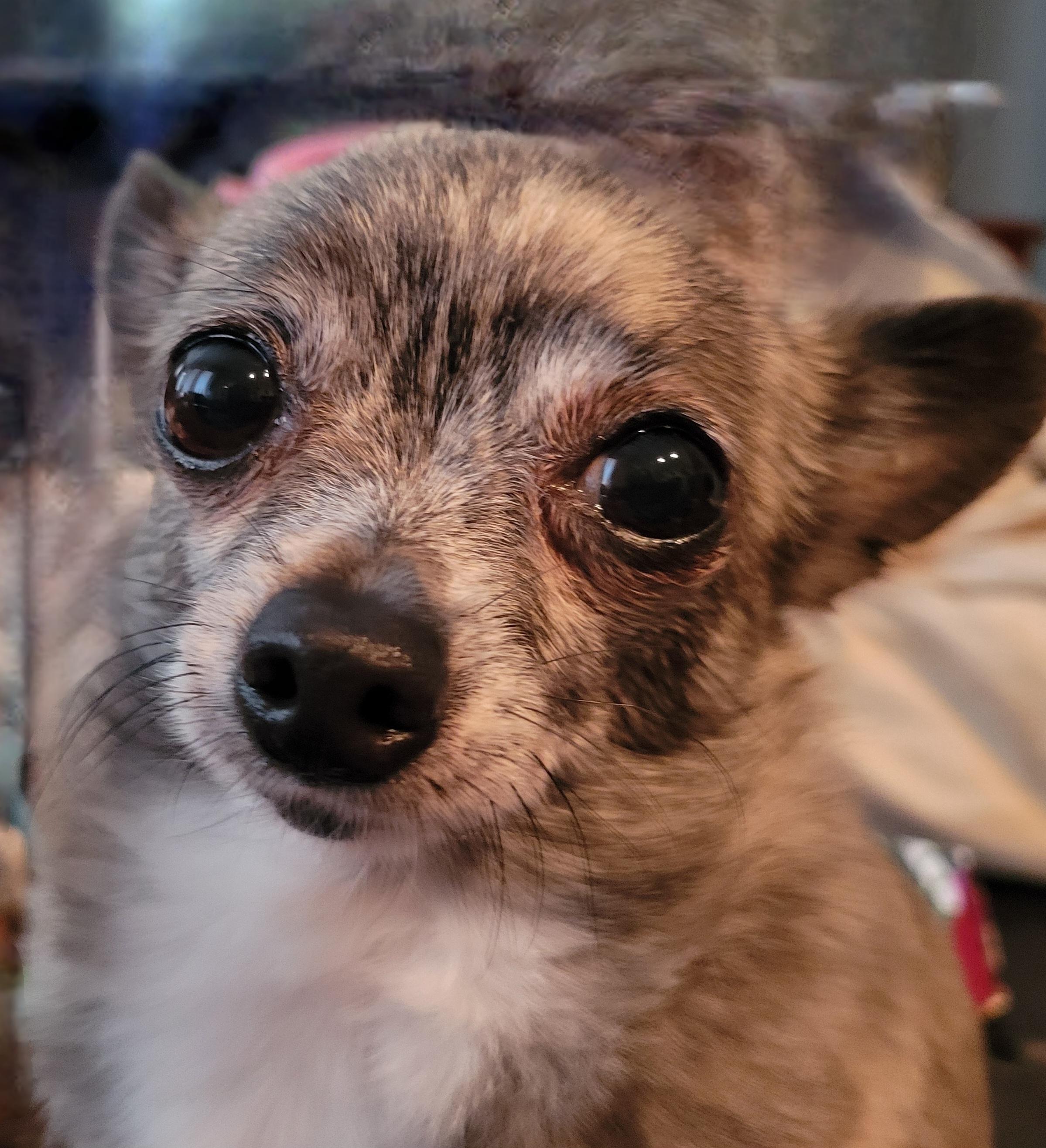 She's so tiny | Scrolller