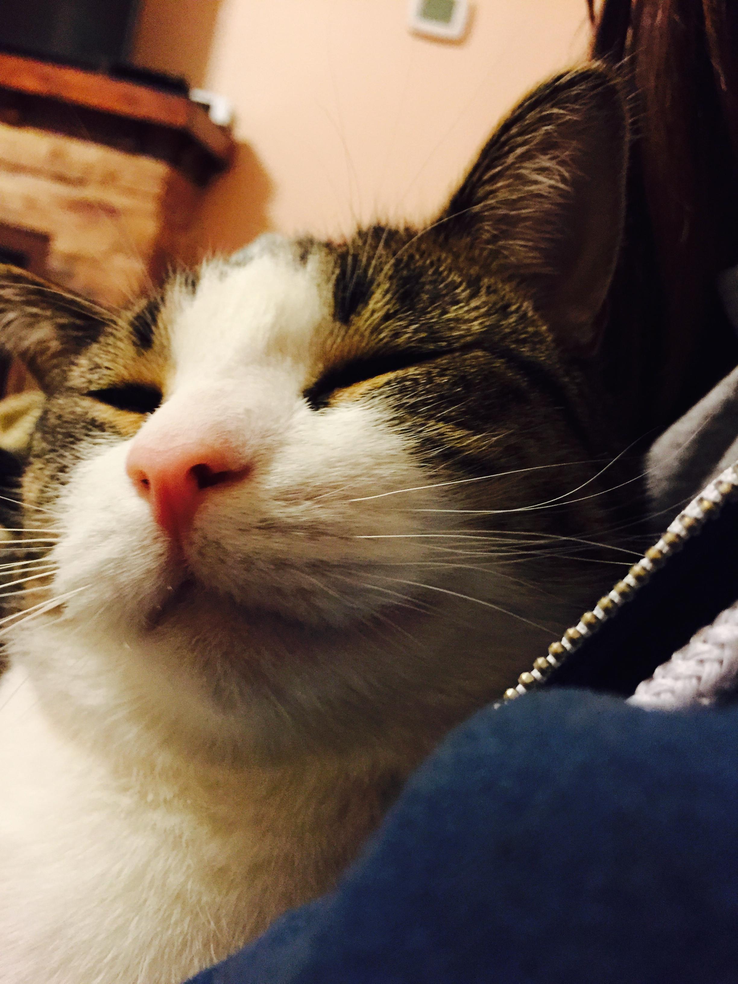 Goodnight sweet prince | Scrolller