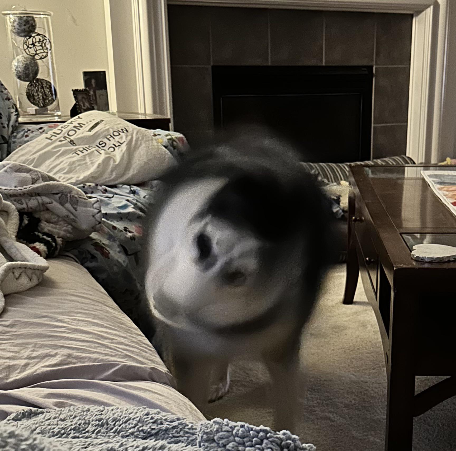 My Derp! | Scrolller