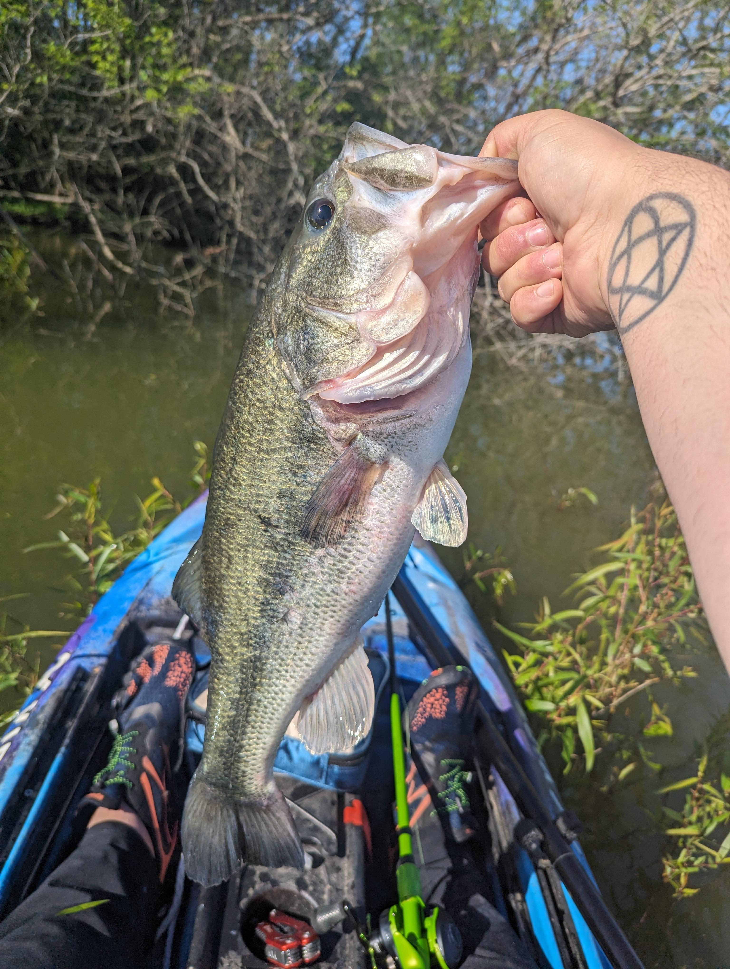 First official chatterbait catches | Scrolller