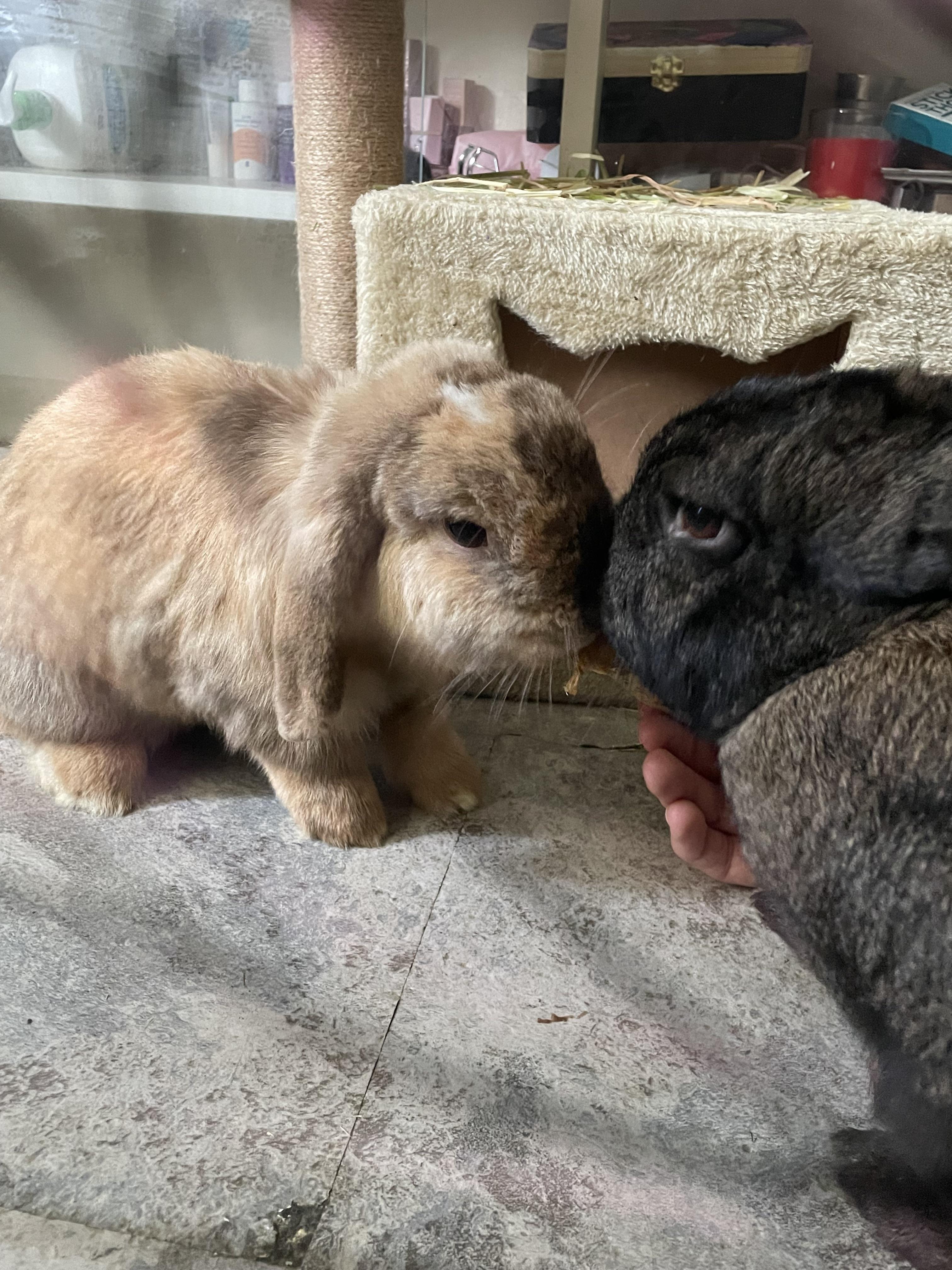 Munching together 🍌 | Scrolller