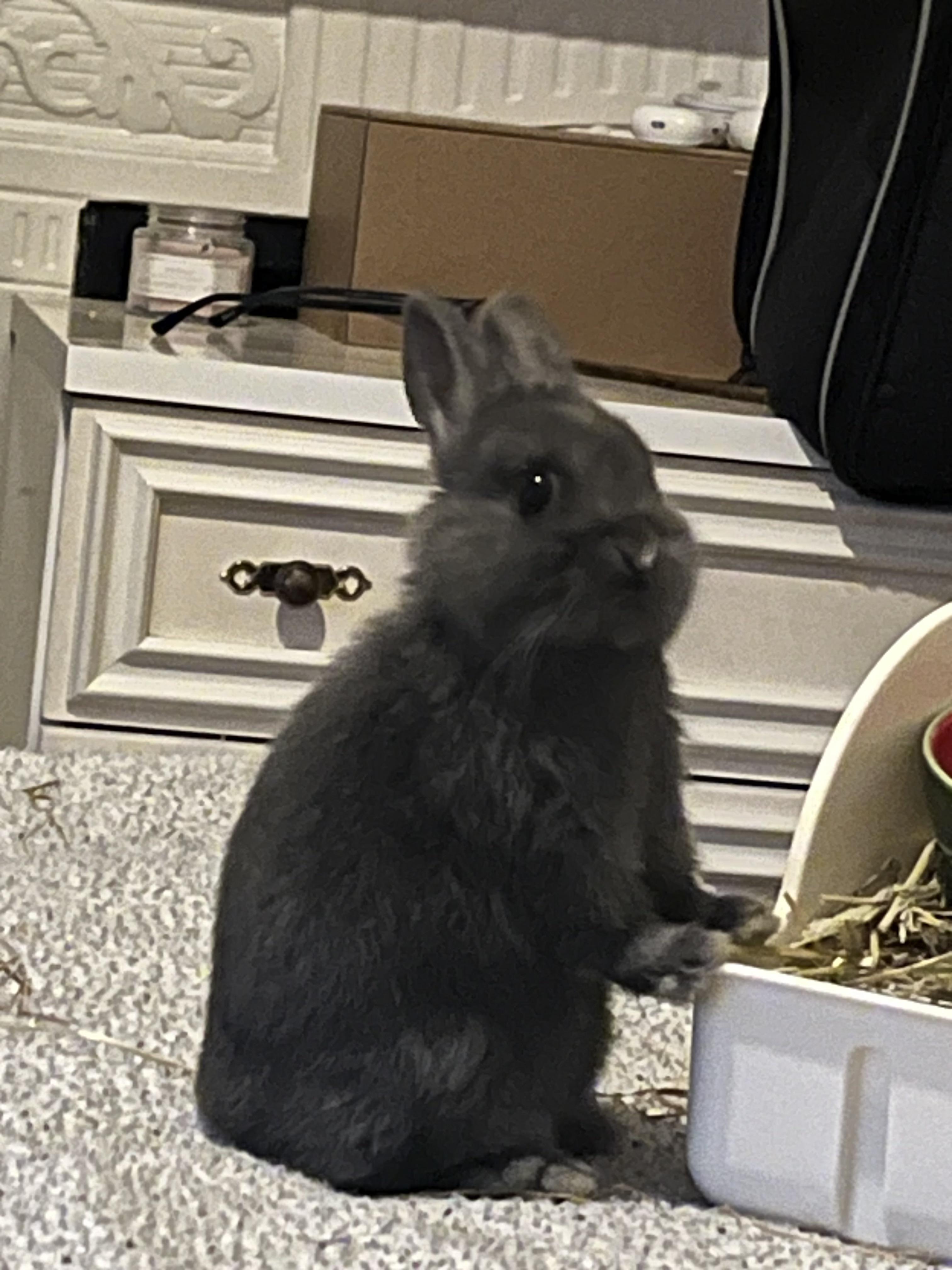 Troublemaker? No, not me. | Scrolller