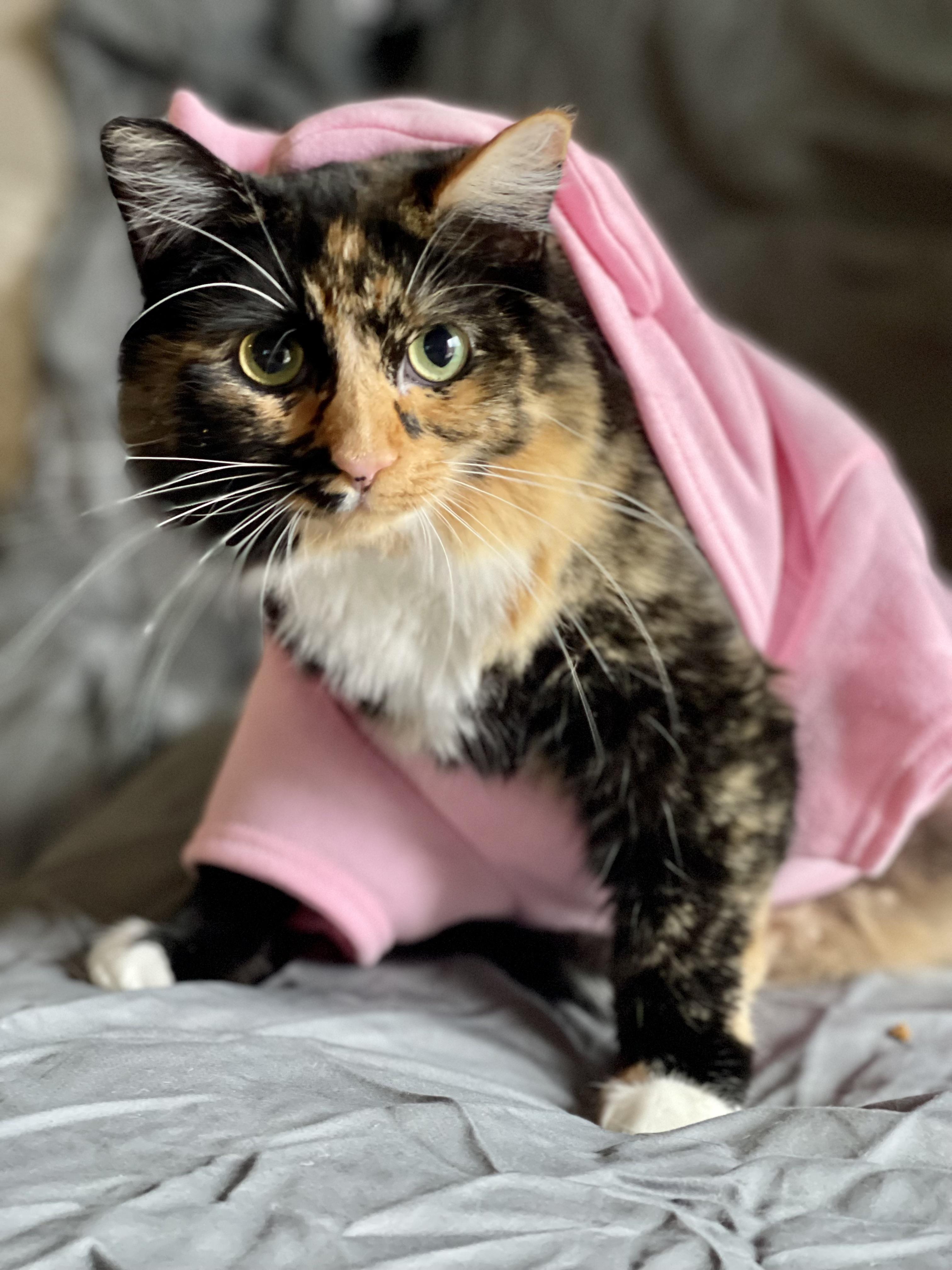 Happy 3rd Birthday Penelope Scrolller 1502