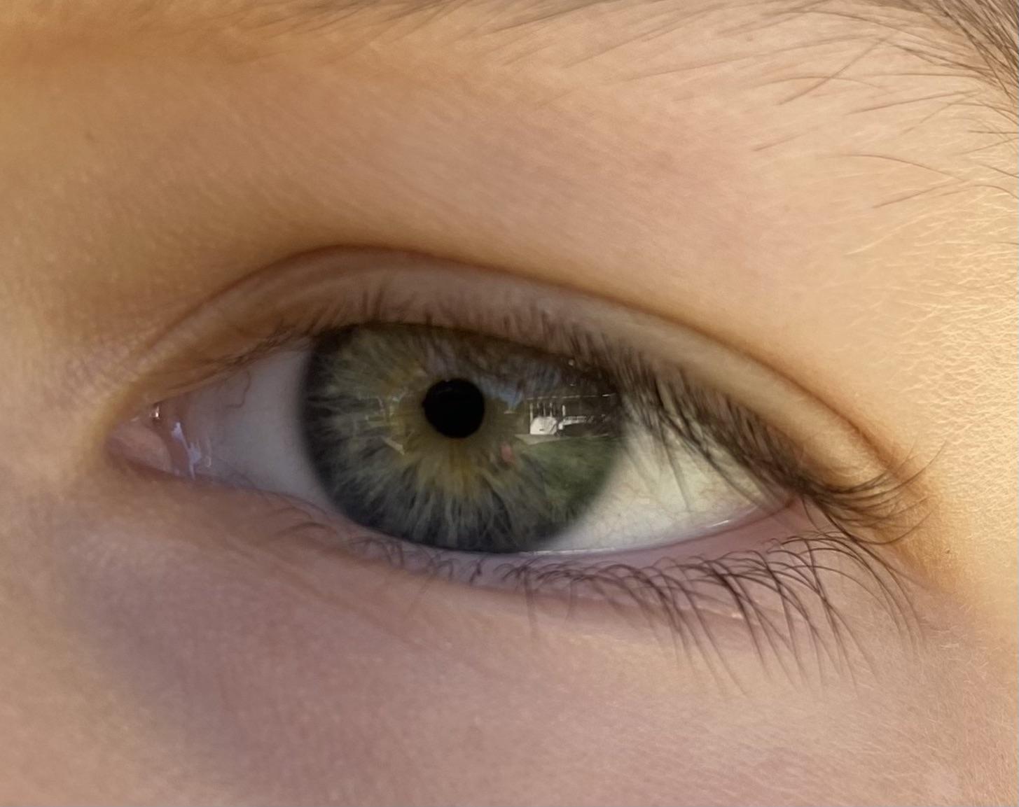 I didn’t know what color to put on the passport. | Scrolller