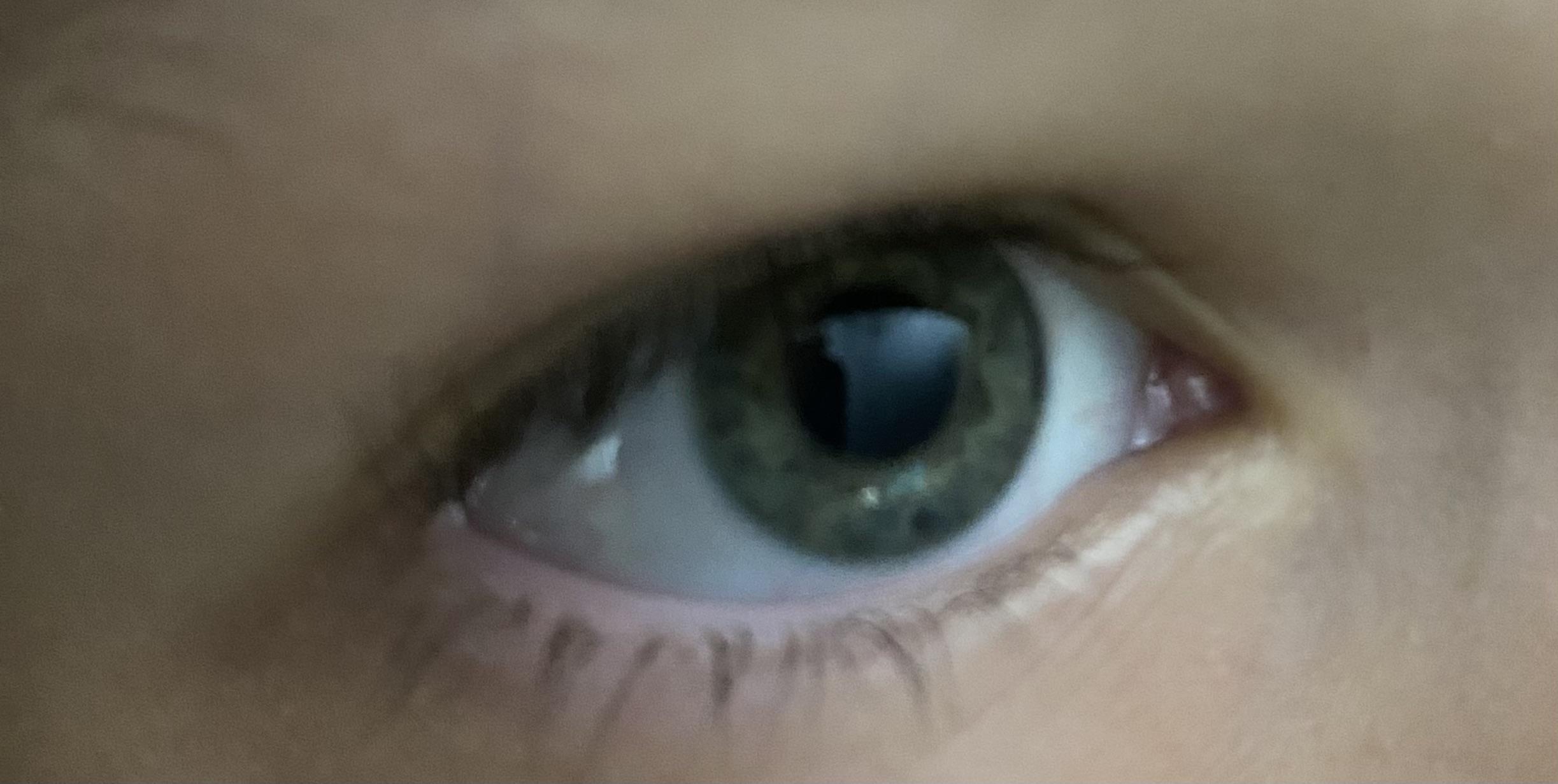 I didn’t know what color to put on the passport. | Scrolller