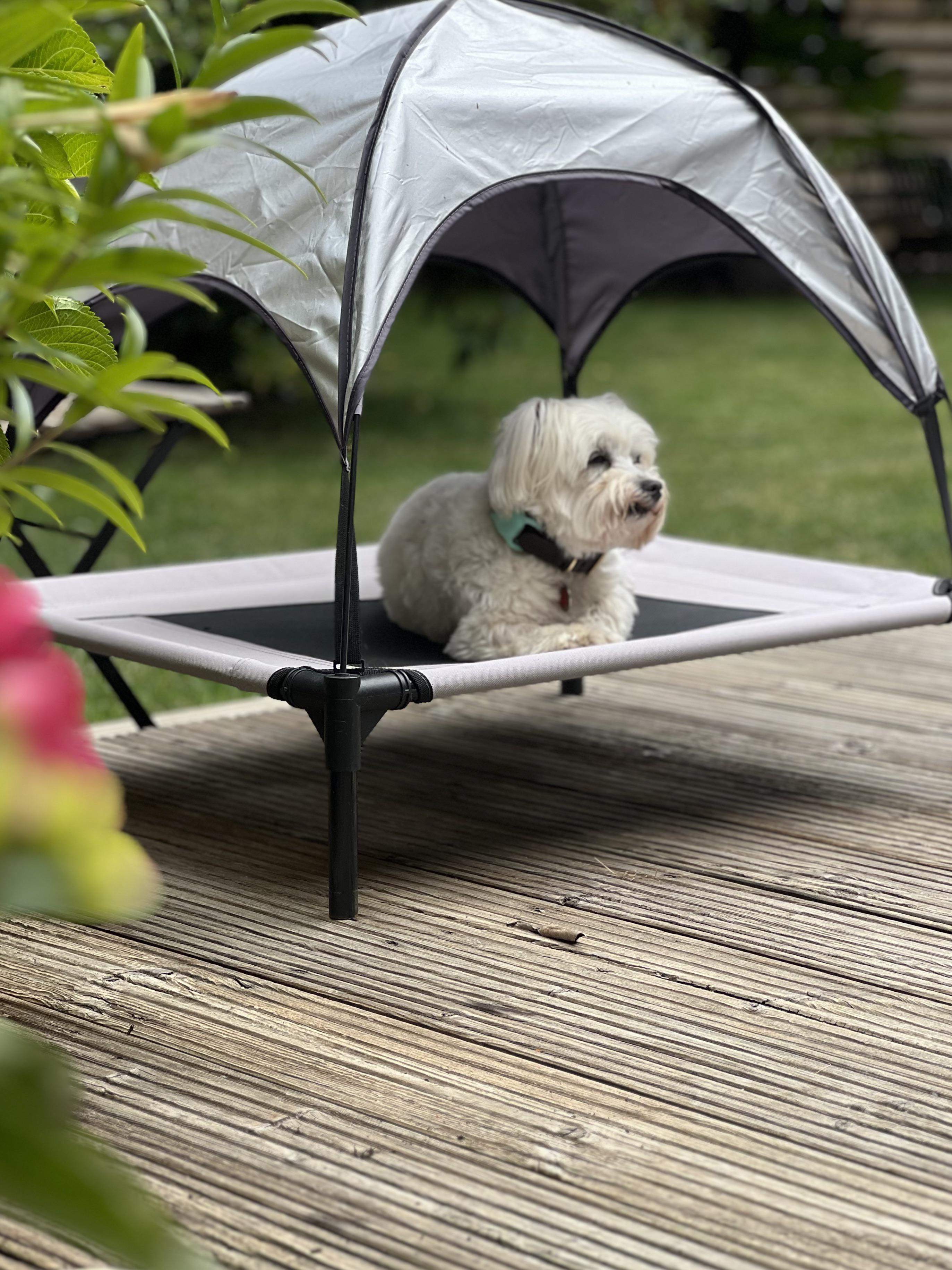 Wilbur and Mabel having summer on the deck | Scrolller