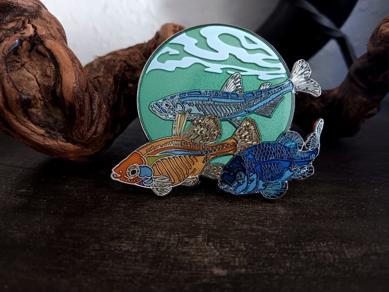 Three endangered fish | Scrolller