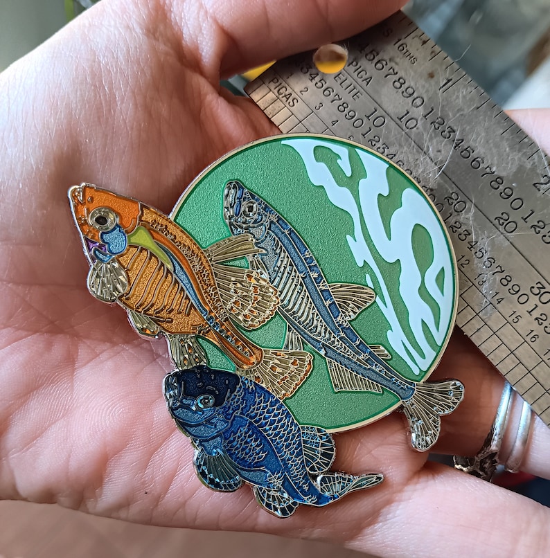 Three endangered fish | Scrolller