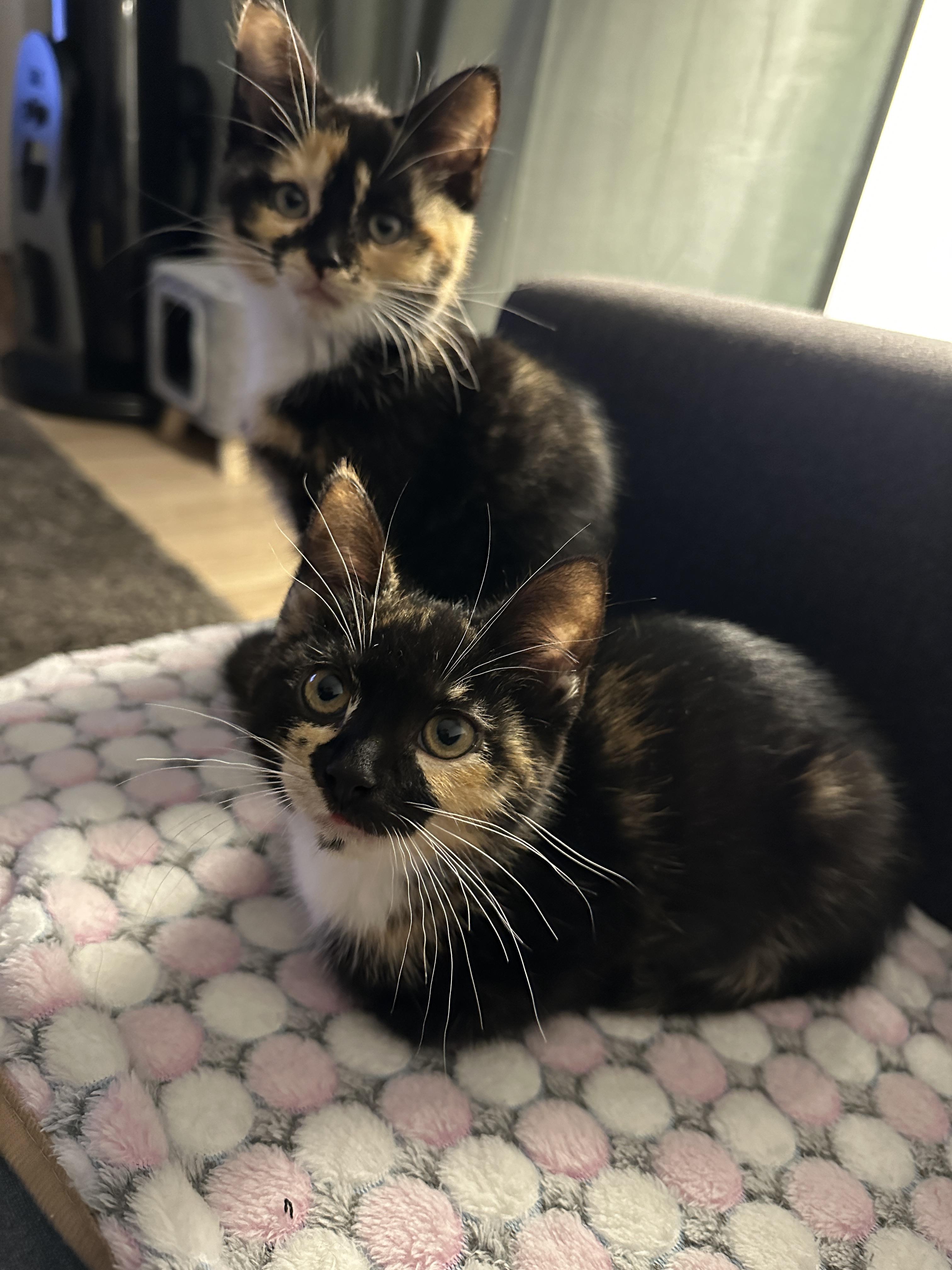 First time I’ve seen her loafing | Scrolller