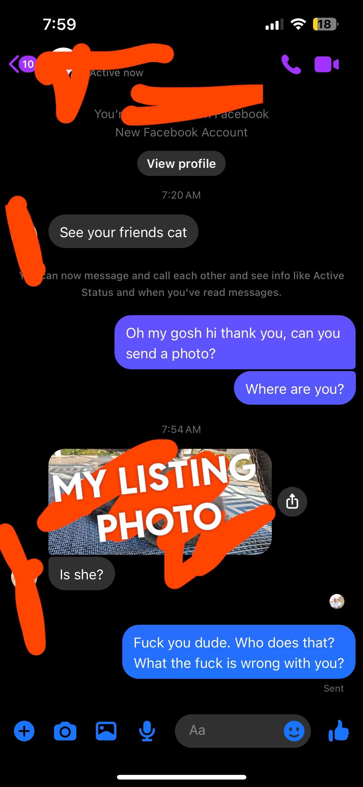 Guy “finds” my friend’s lost cats | Scrolller