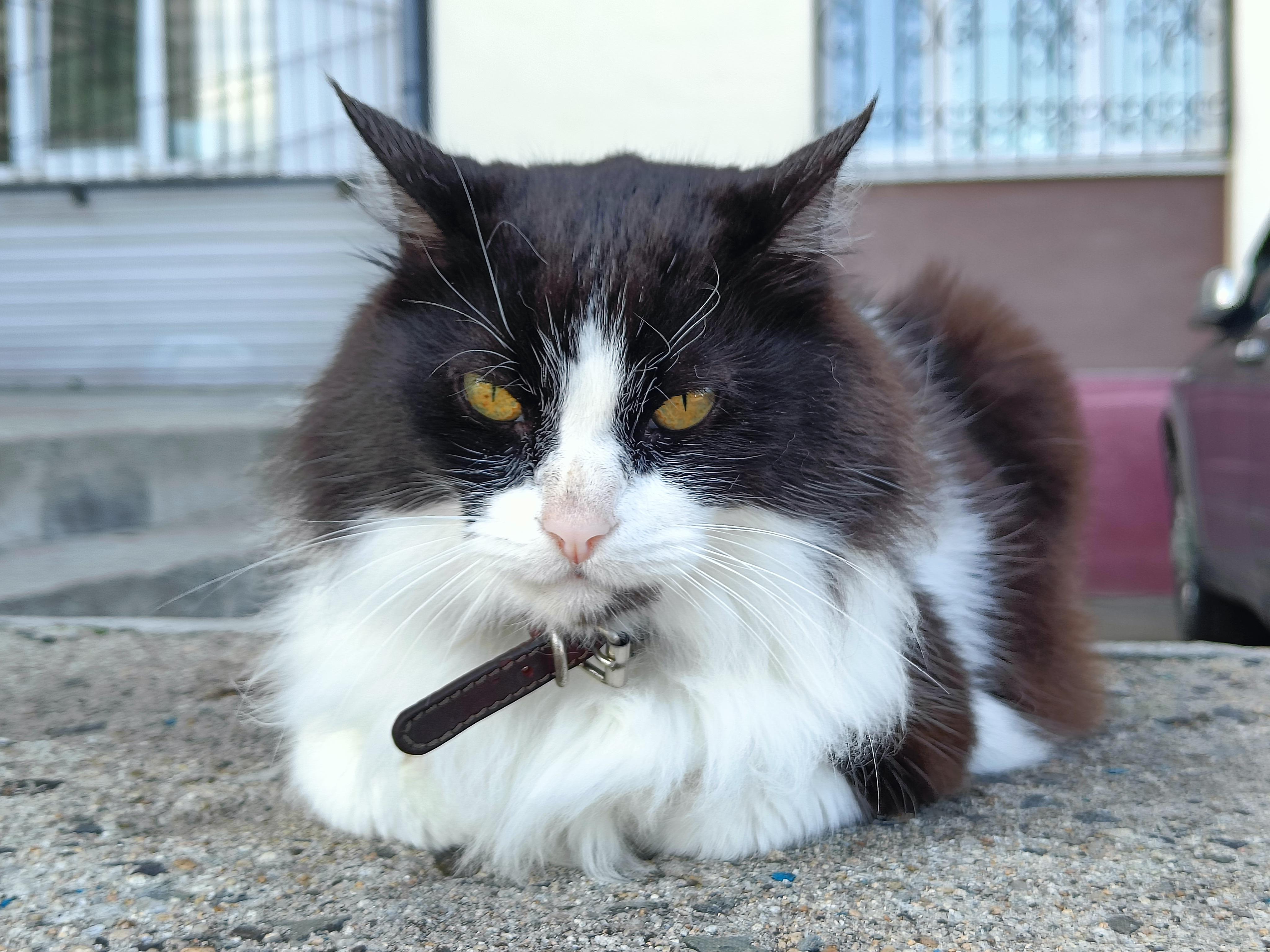 So serious | Scrolller