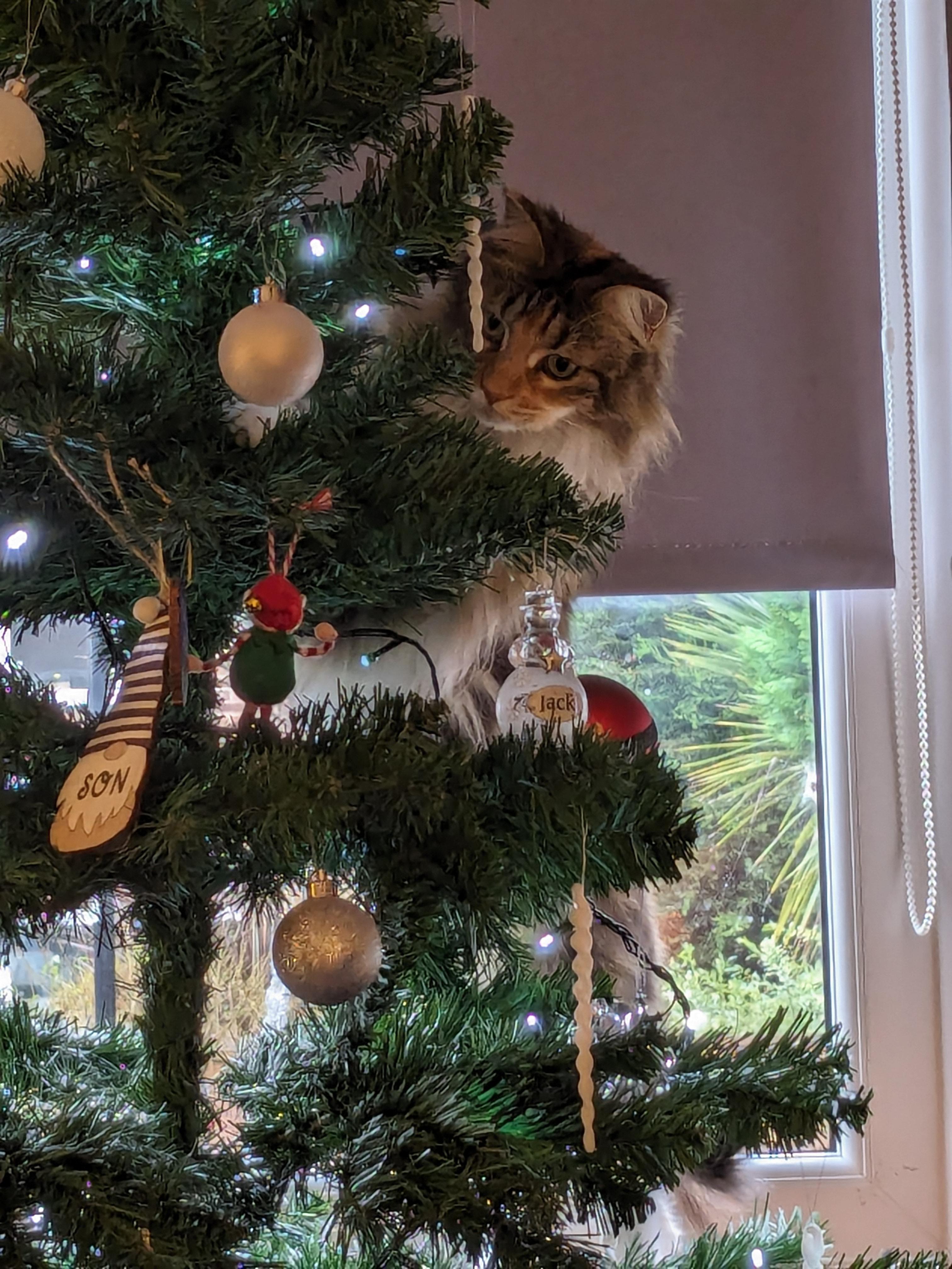 Nothing can possibly go wrong | Scrolller