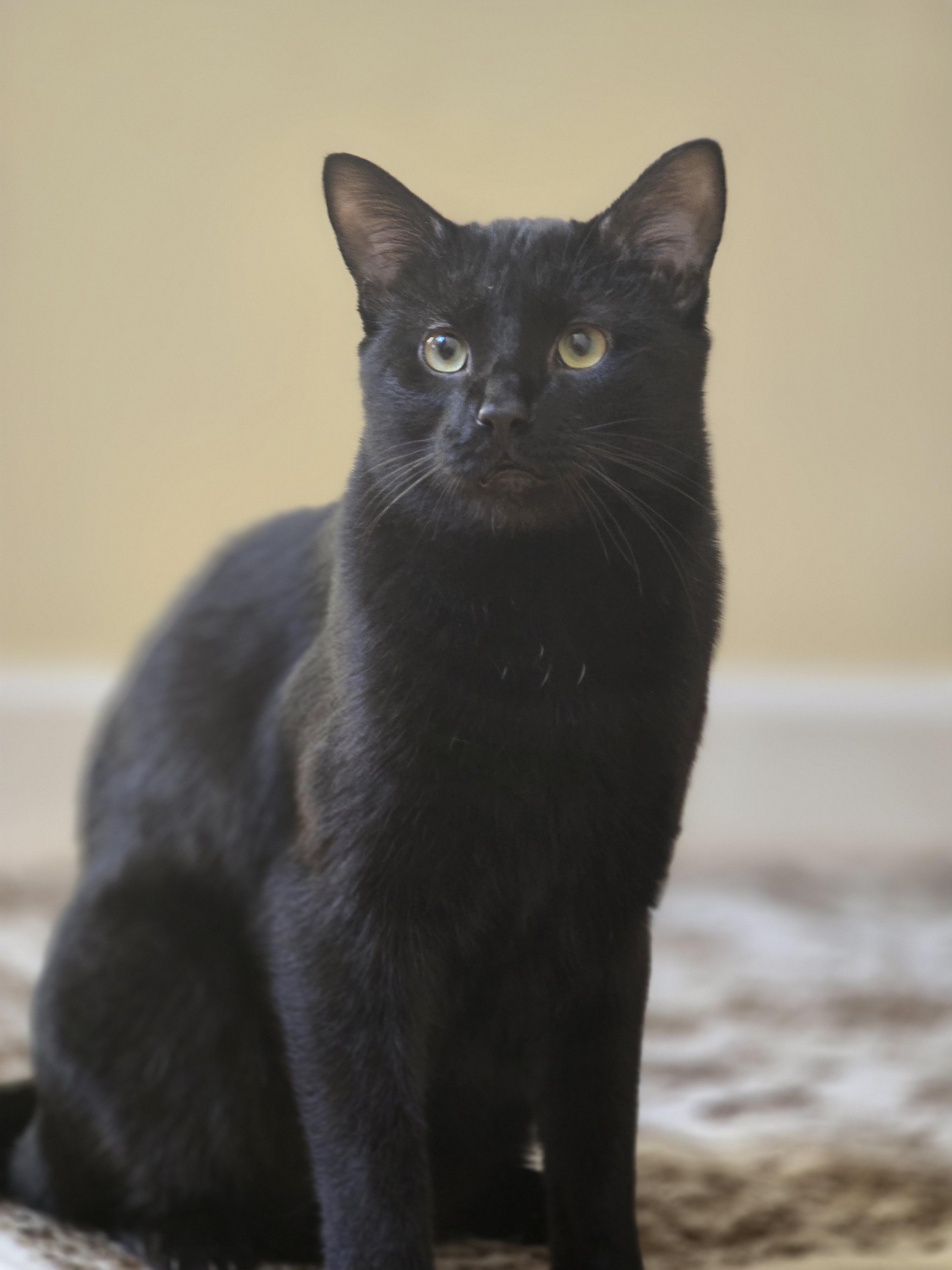 The two sides of my son pt. 2 | Scrolller