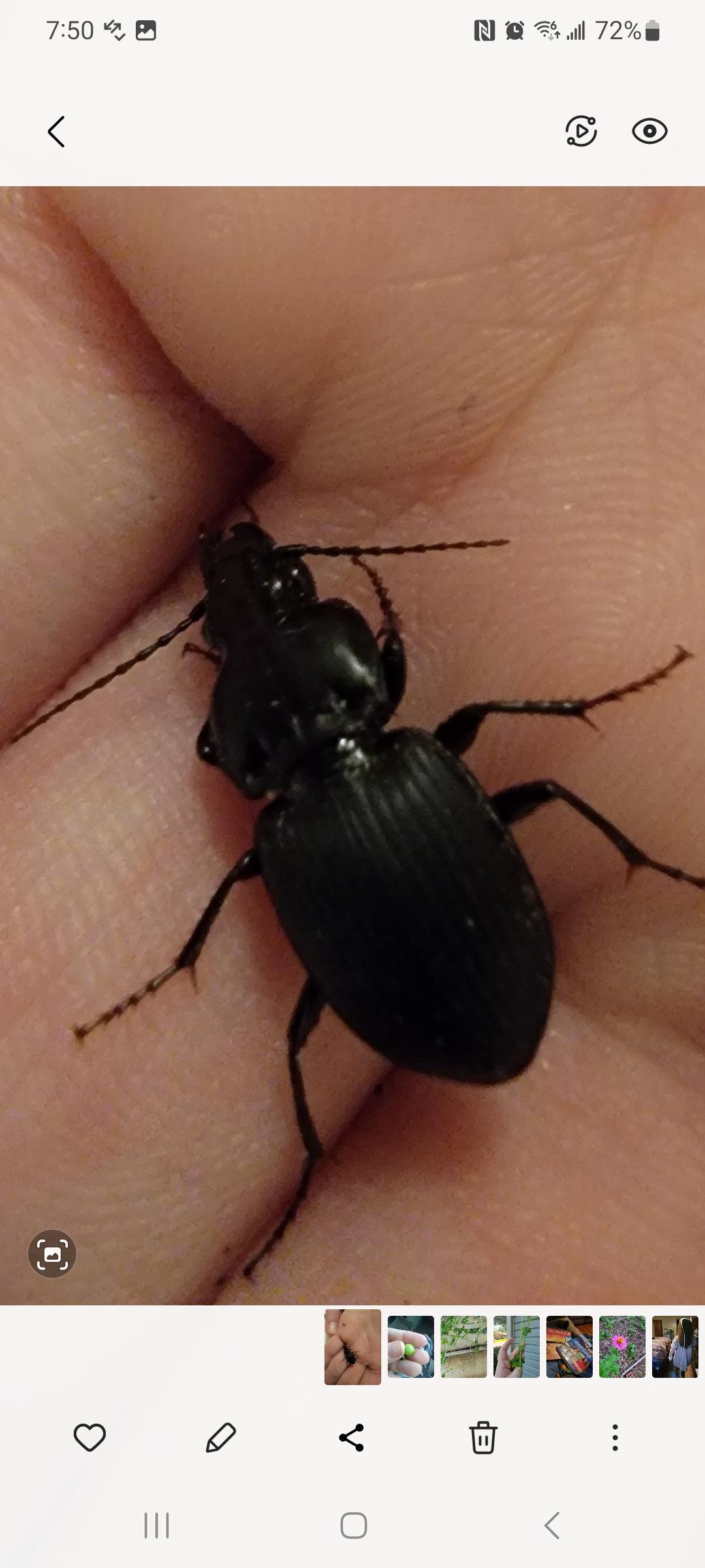 NorthWest Florida | Scrolller