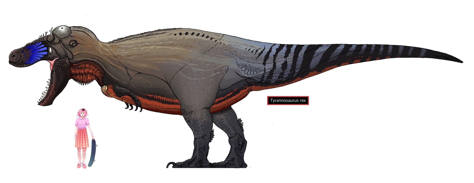 Stevemobcannon Dinosaurs | Scrolller