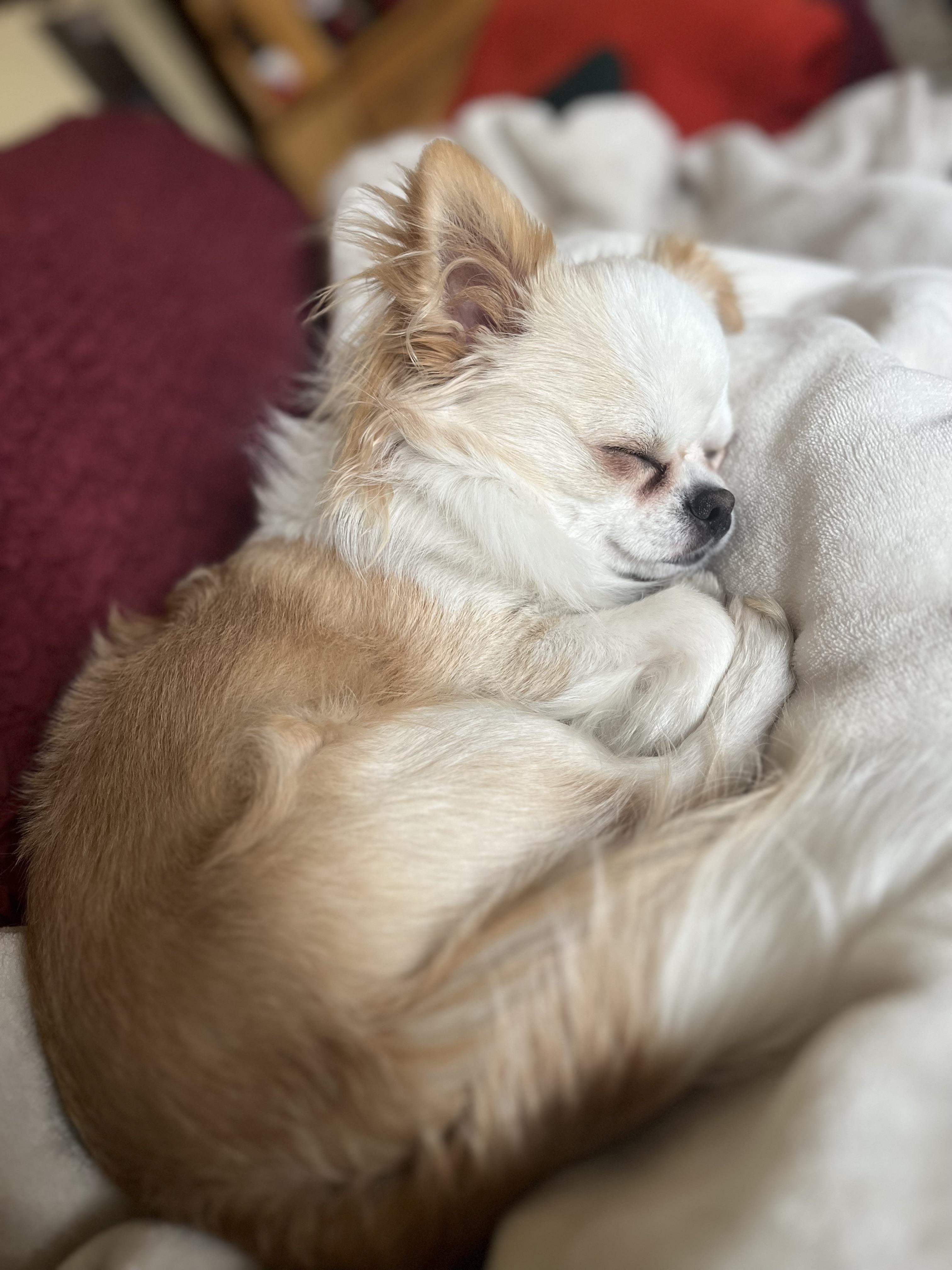 Sleeping | Scrolller