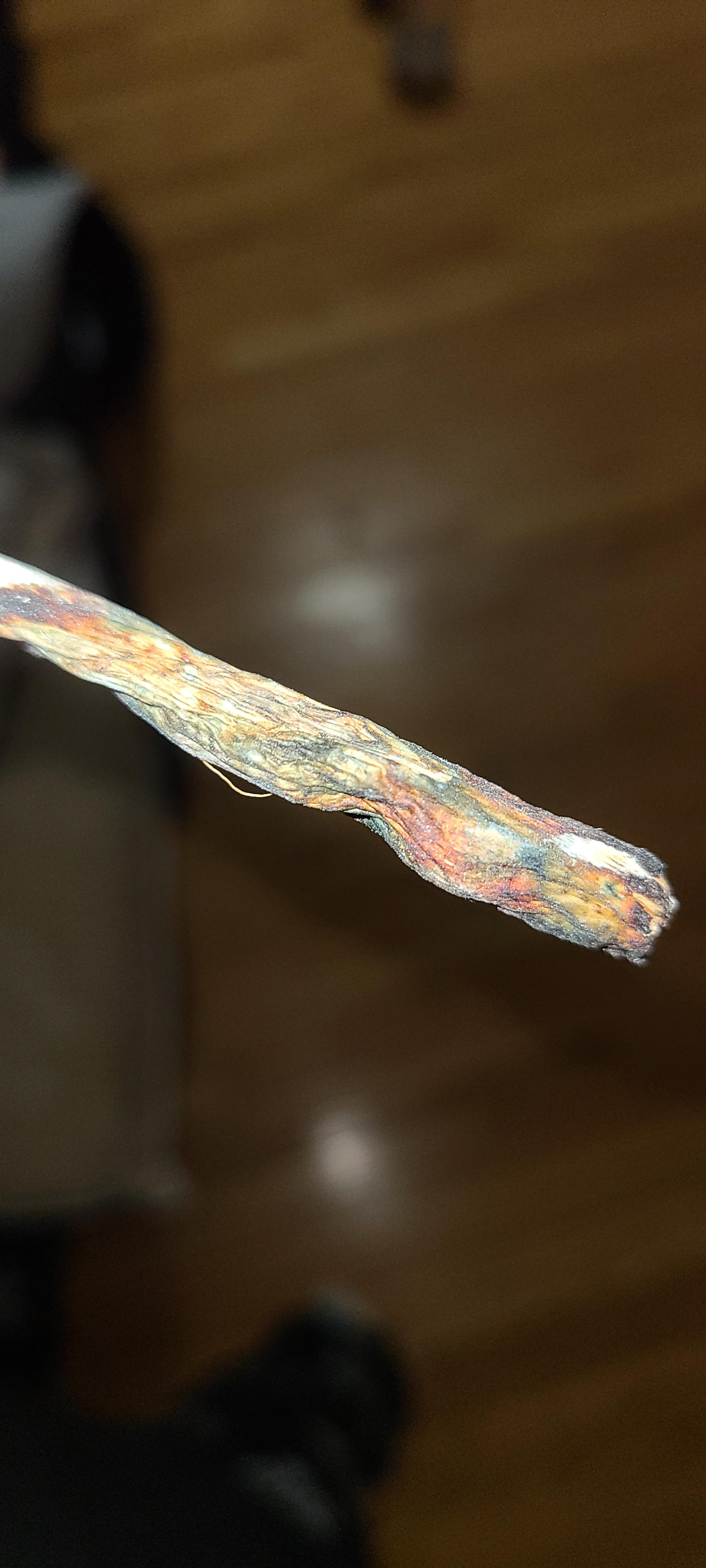 Are my mushrooms moldy?? Or just bruised | Scrolller