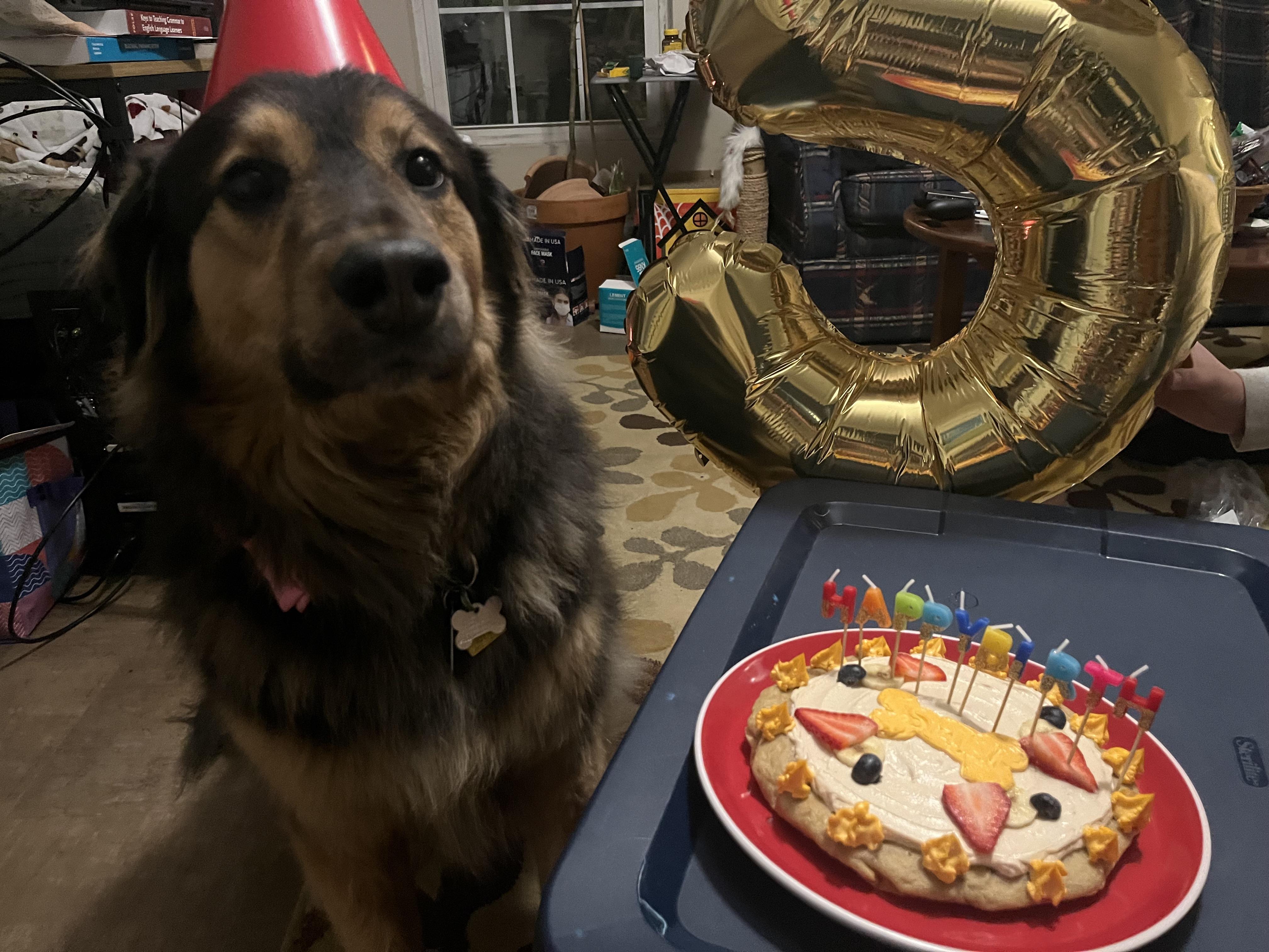 Happy Birthday Sam! | Scrolller