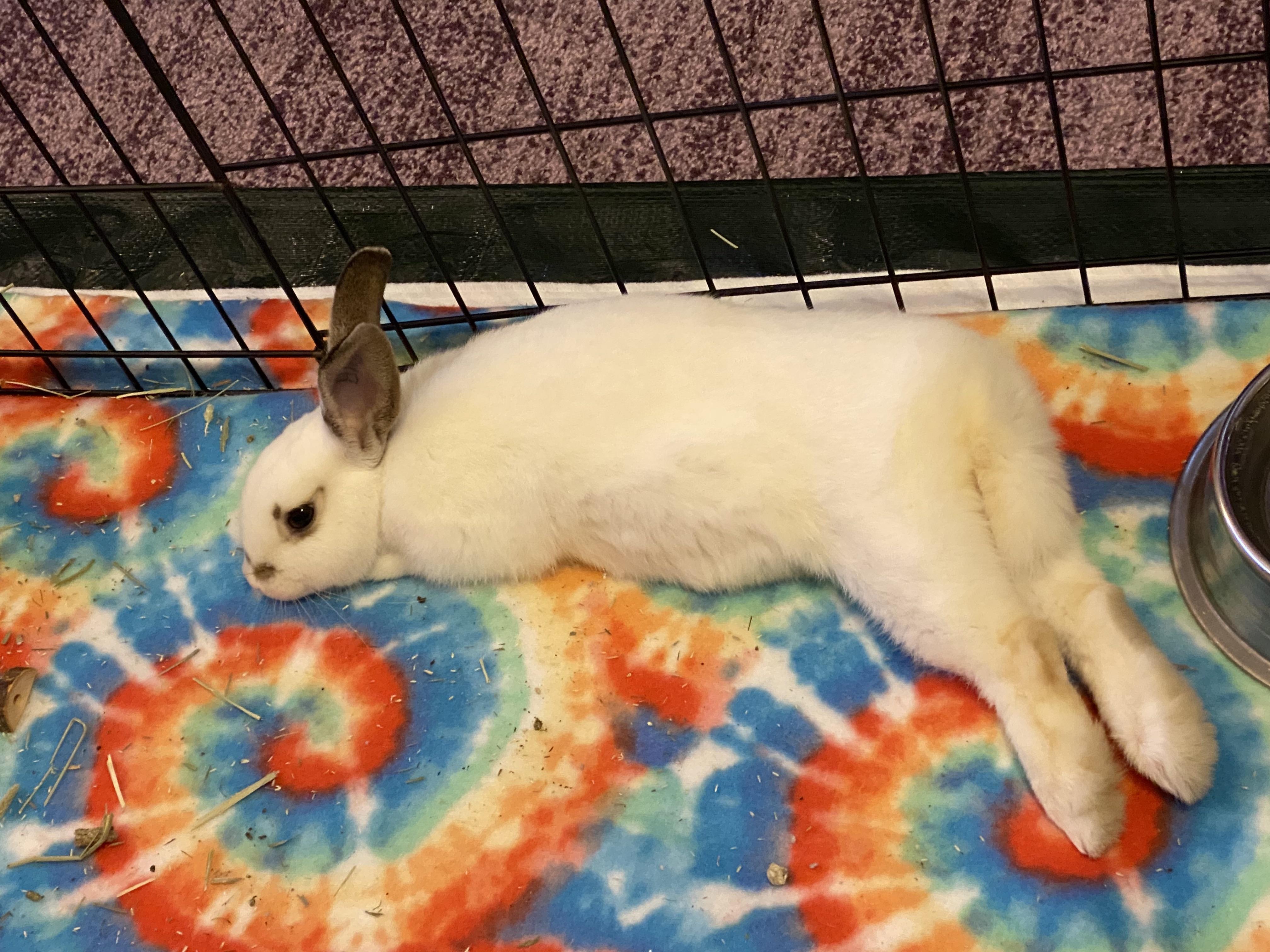 Bonding Advise | Scrolller