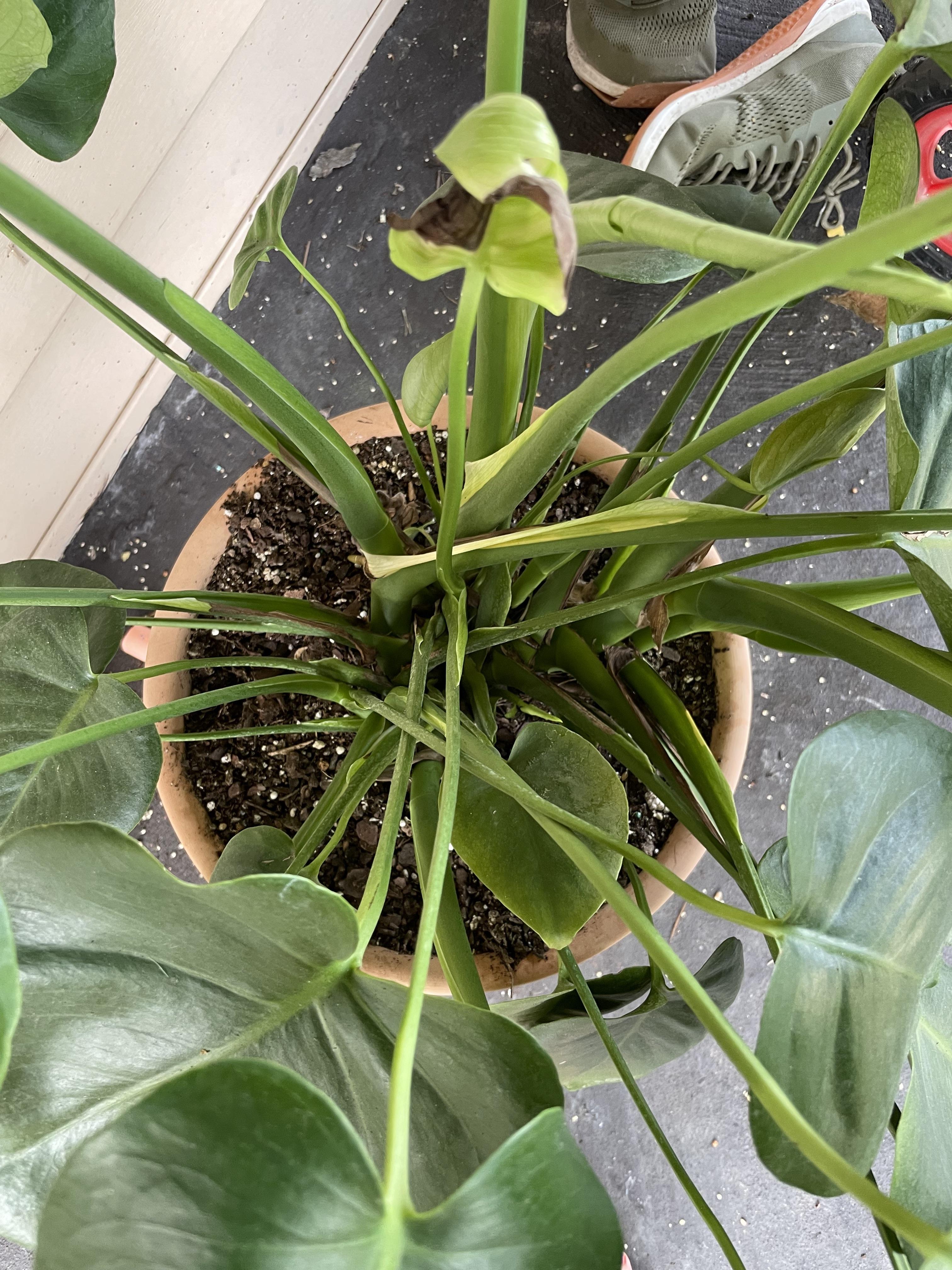 Separate? | Scrolller