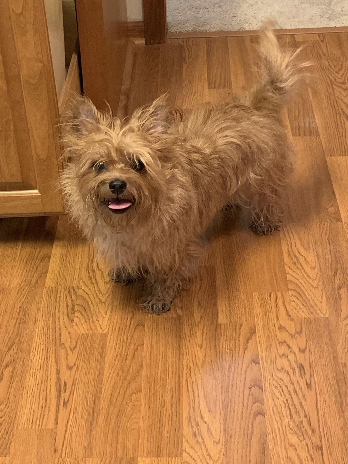 Before & After Rescue | Scrolller