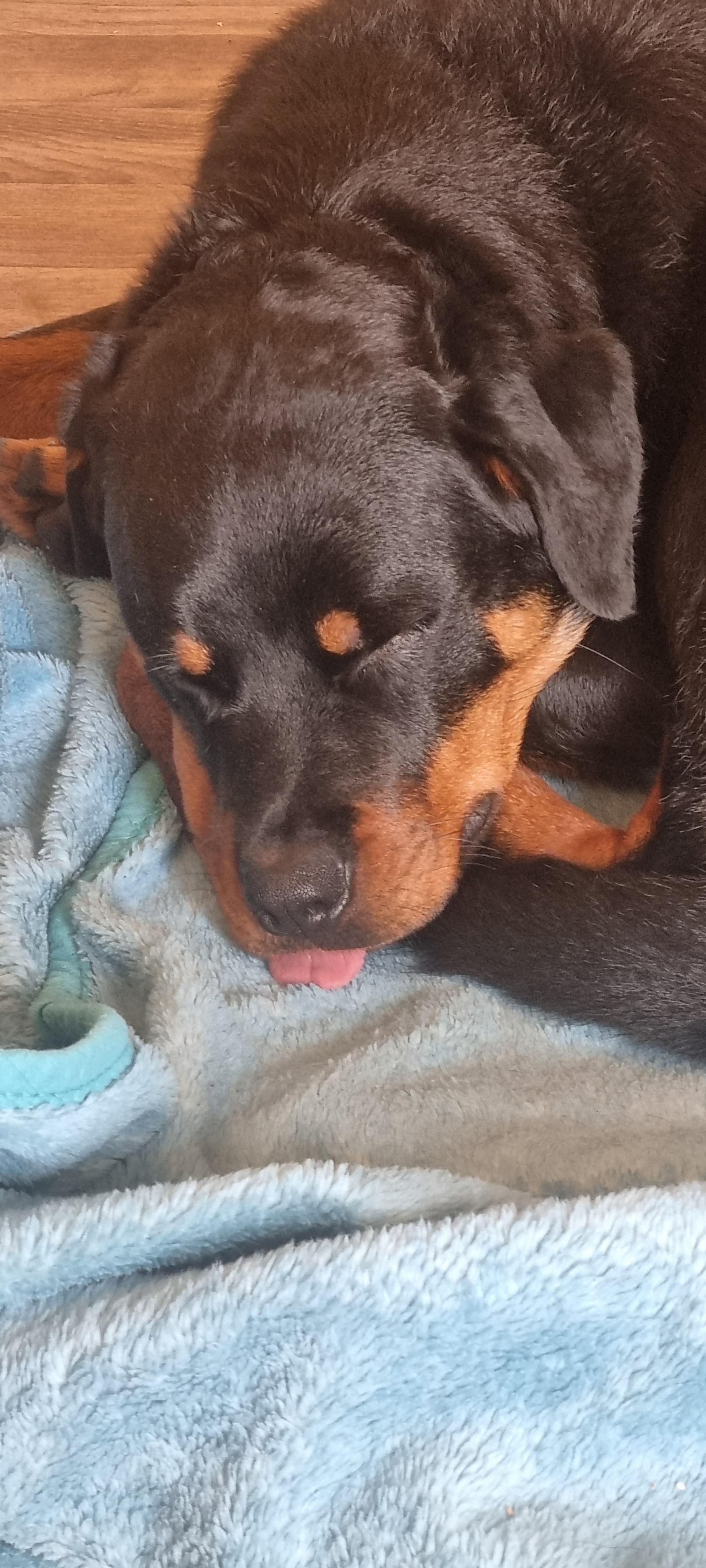 Sleepy girl compilation | Scrolller