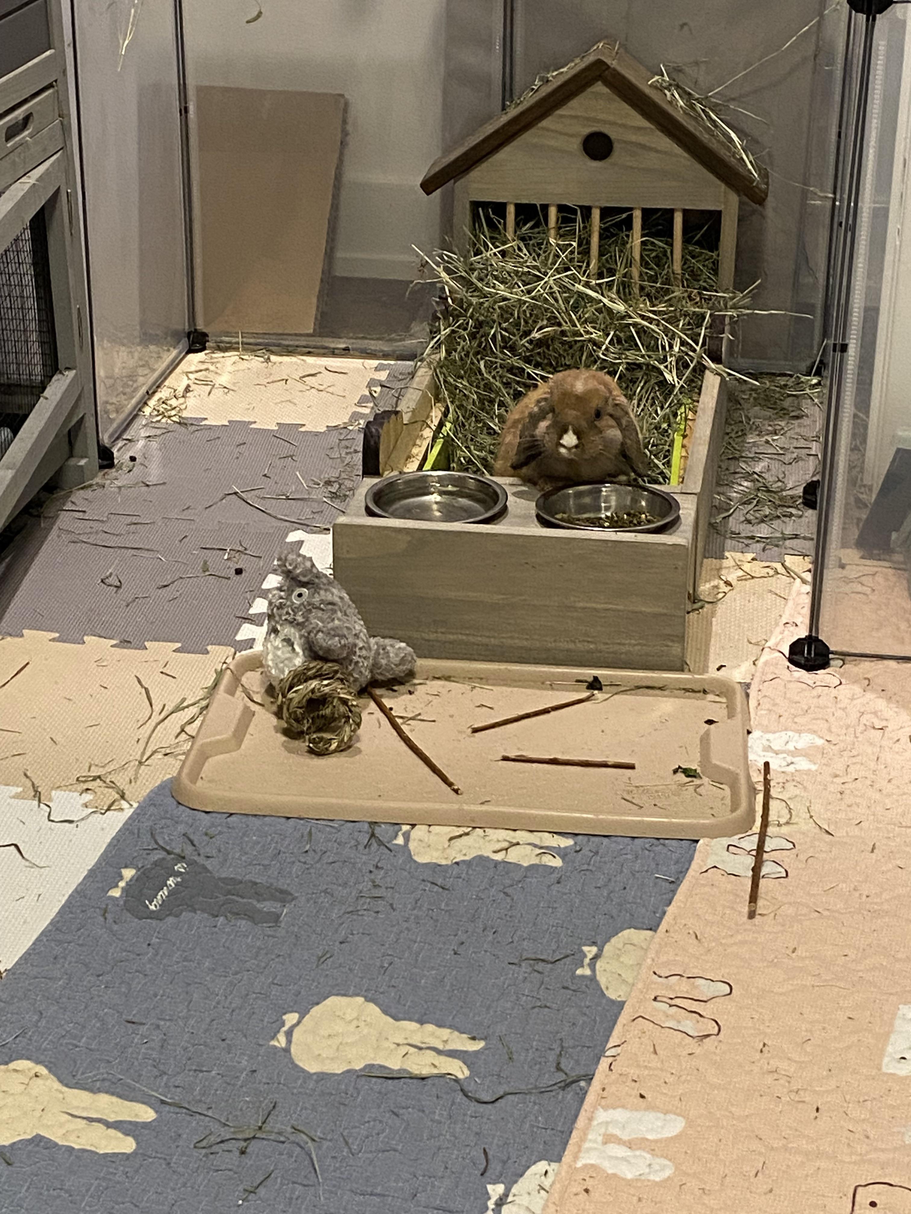 Zen has some interesting angles for eating his food .. | Scrolller