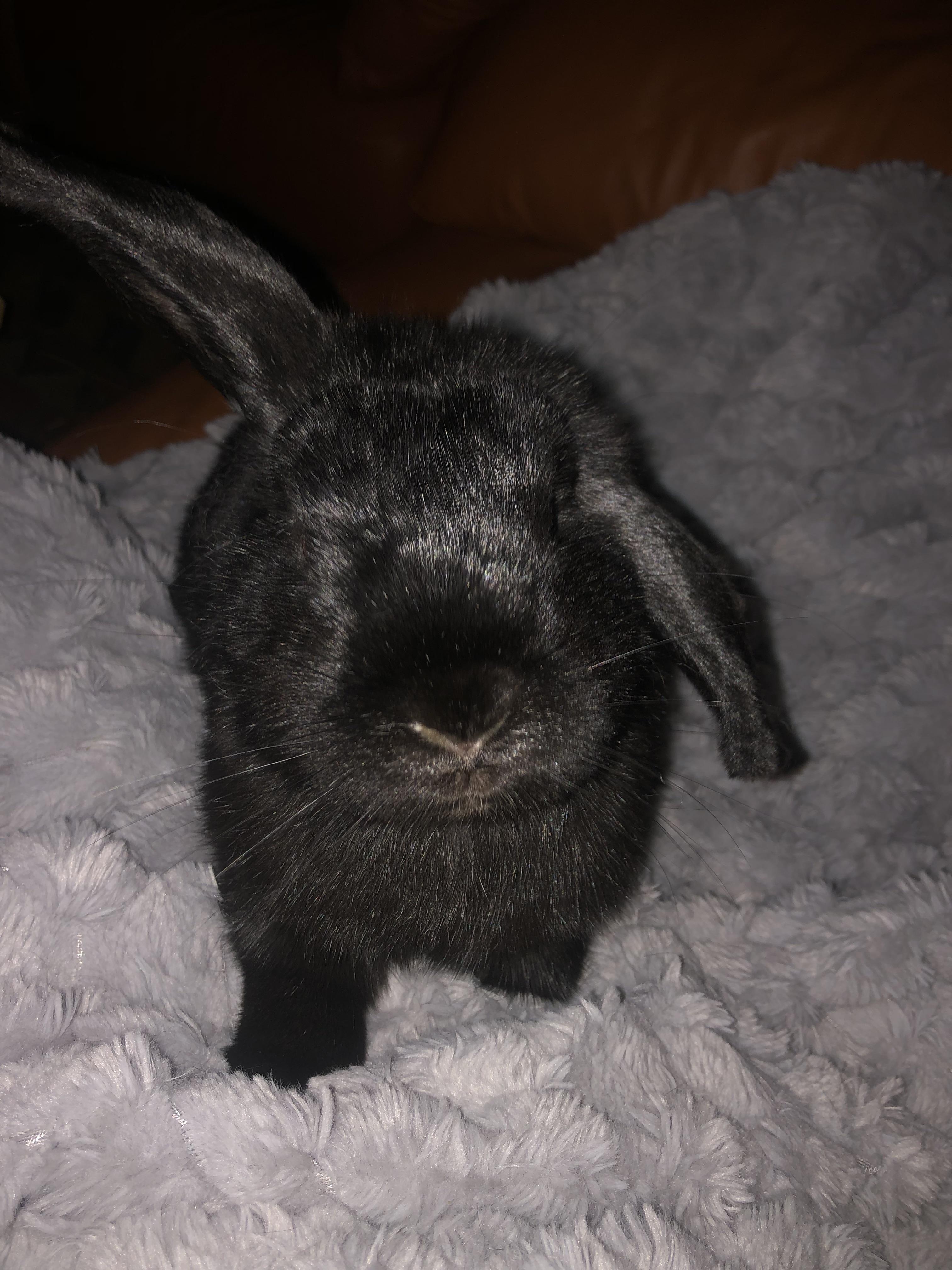 Help ID! | Scrolller