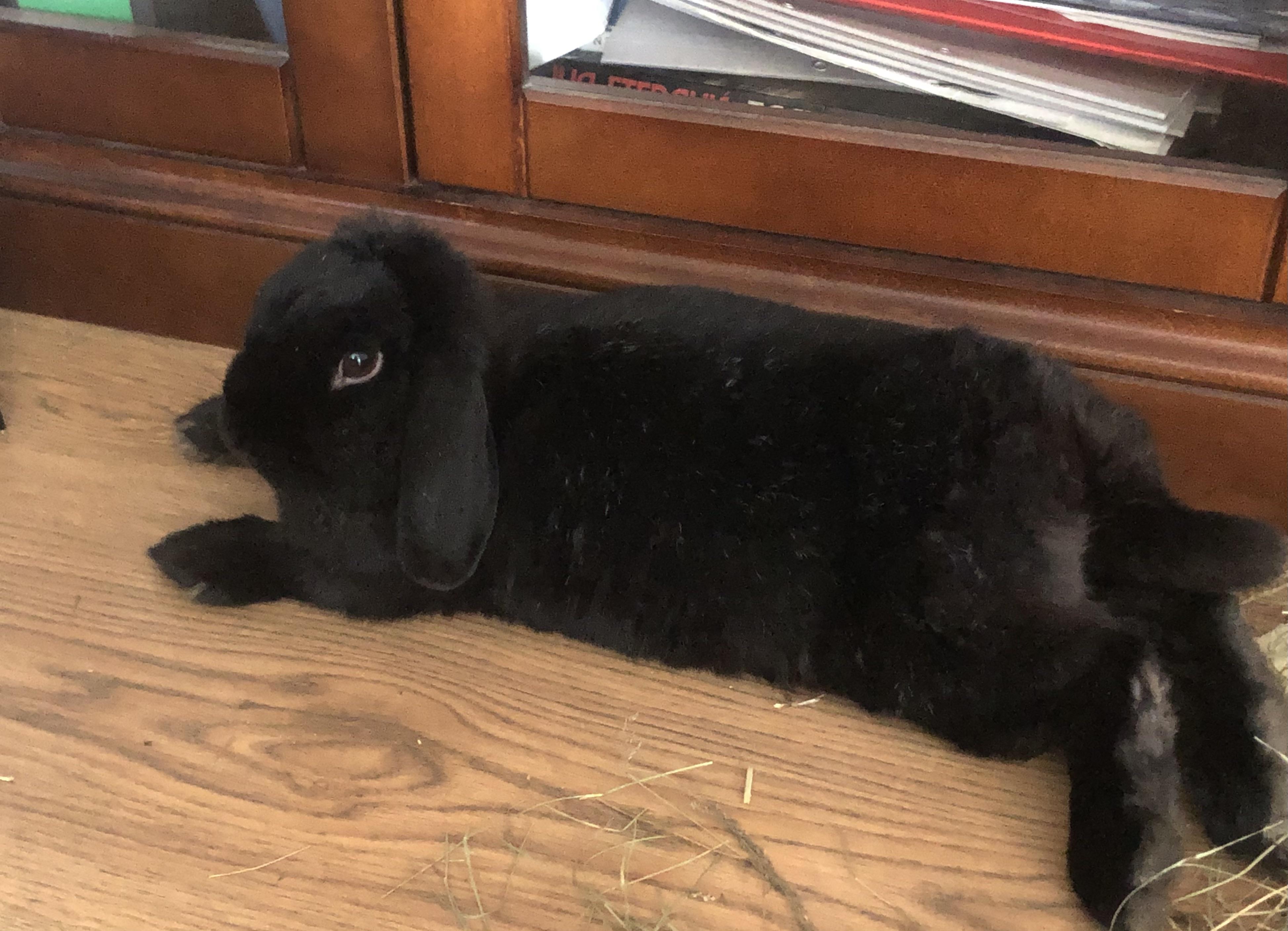 Help ID! | Scrolller