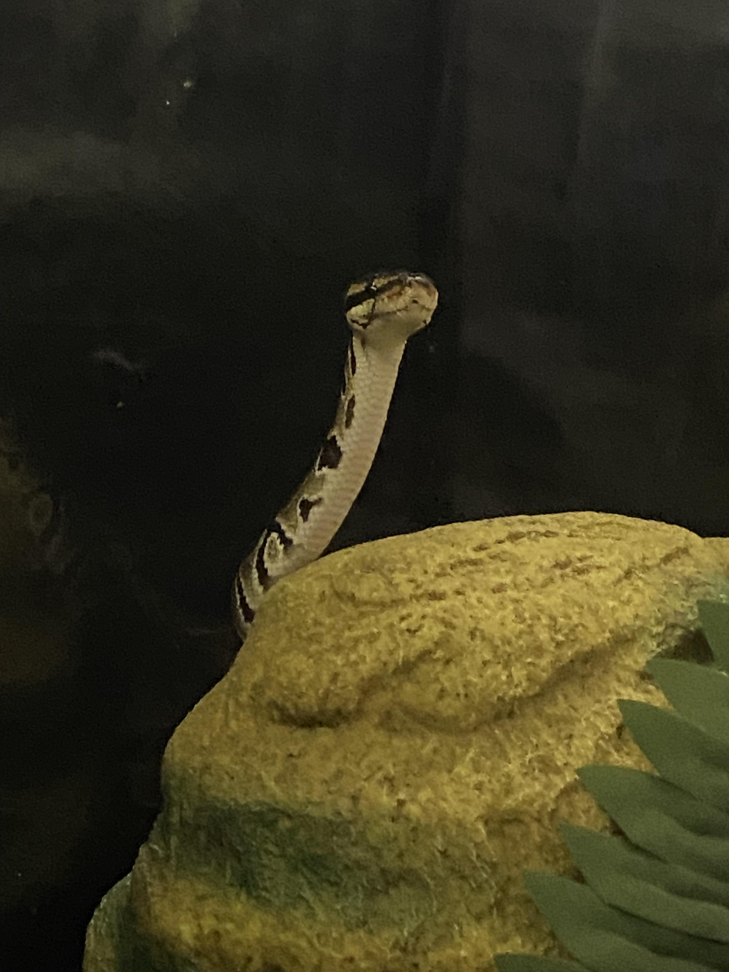 Lighting? | Scrolller